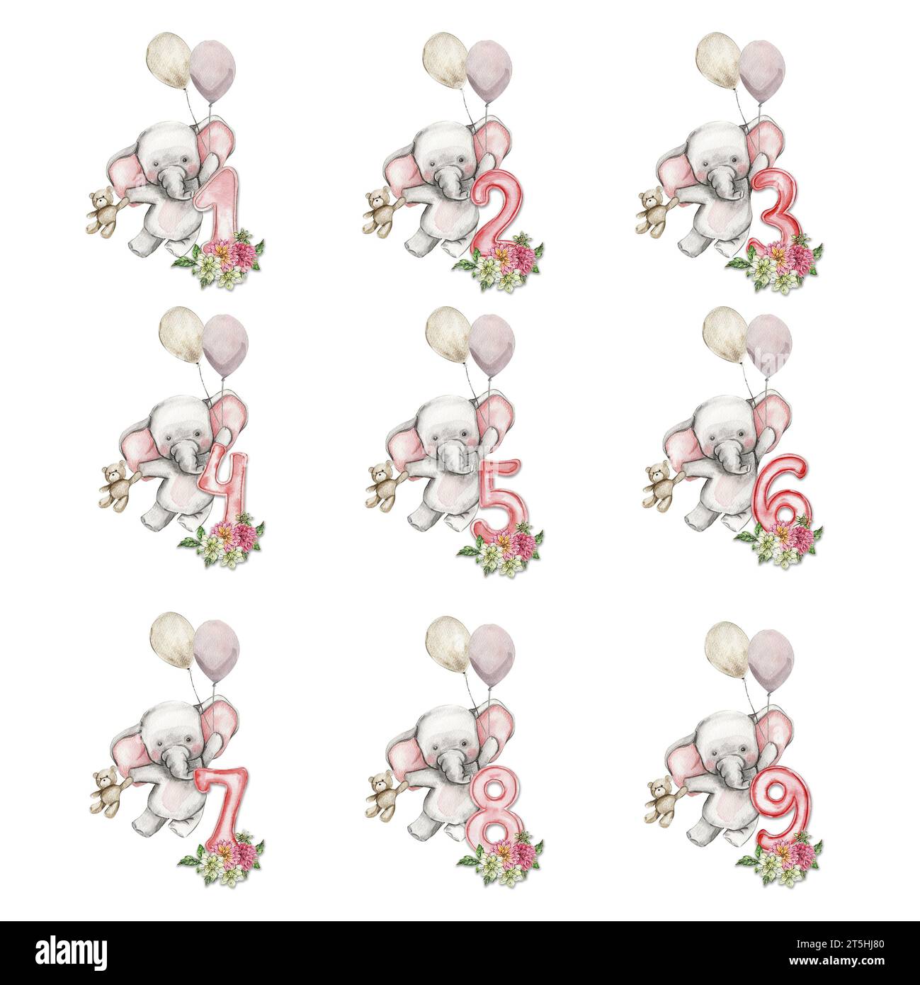 Watercolor hand drawn small baby elephant with dahlia flowers and ...