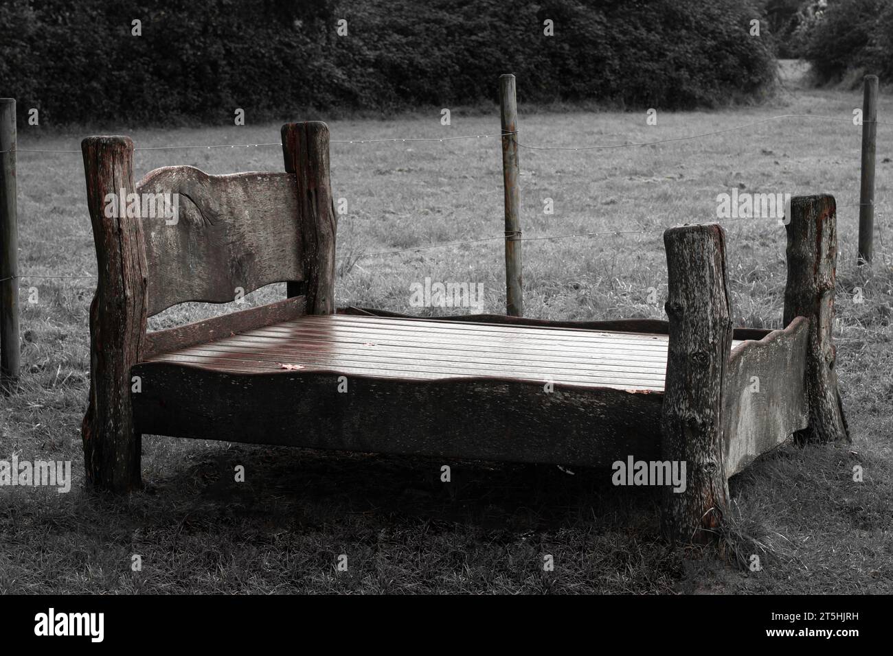 Wooden bed art made from the fallen trees Stock Photo - Alamy