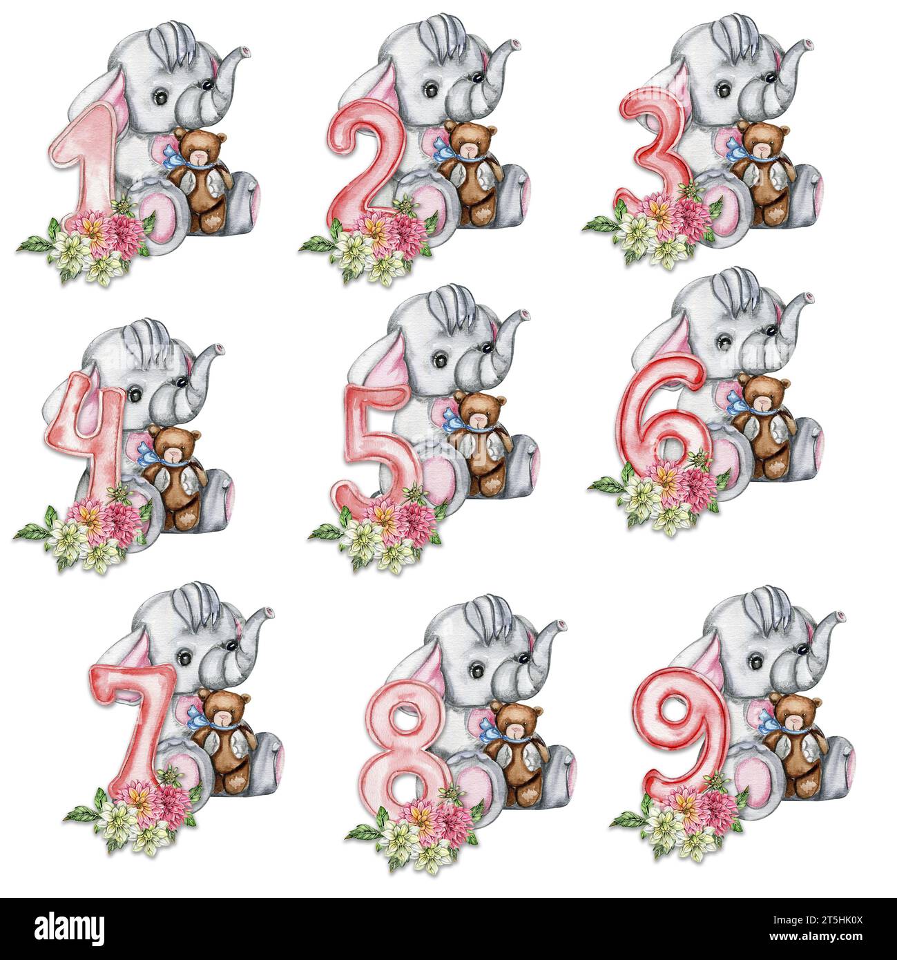 Watercolor hand drawn small baby elephant with dahlia flowers and ...