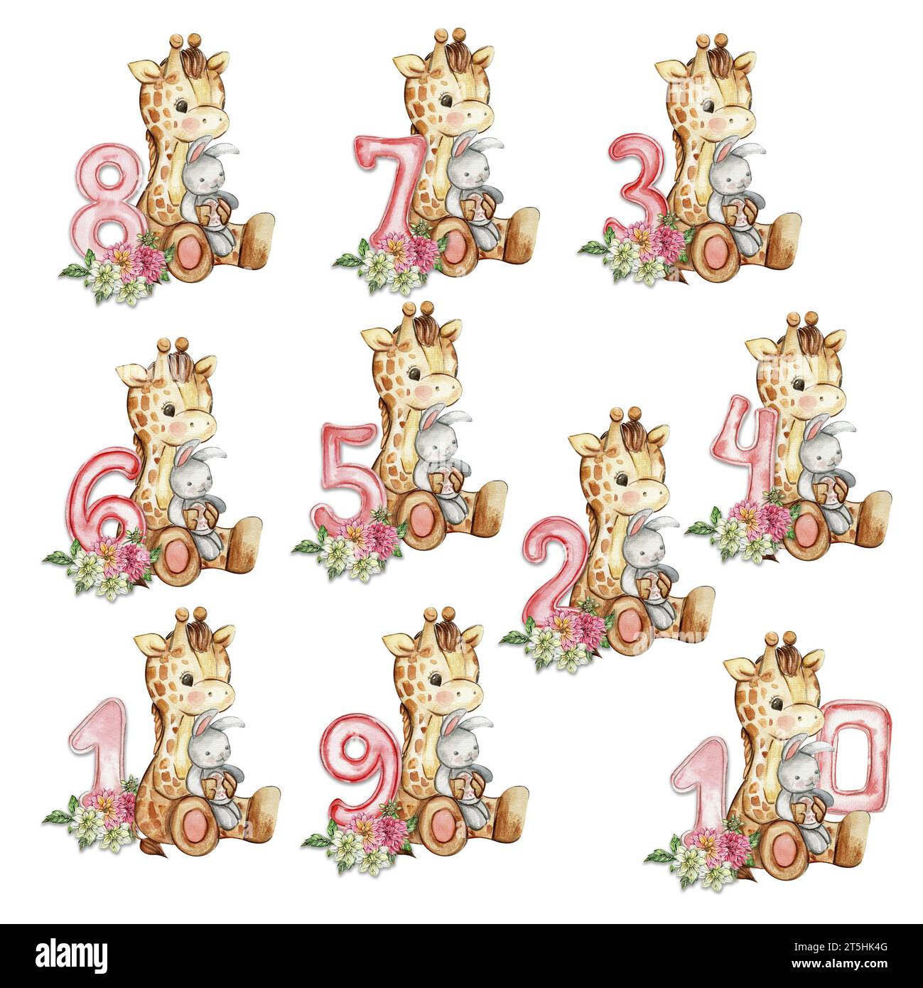 Watercolor hand drawn small baby giraffe with dahlia flowers and ...