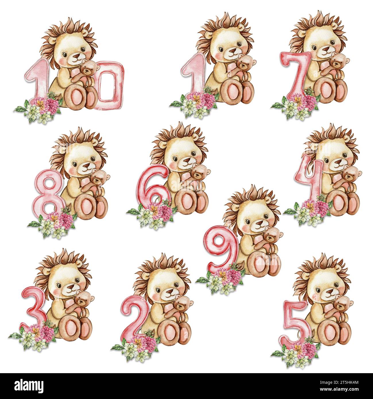 Watercolor hand drawn small baby lion with dahlia flowers and numbers ...