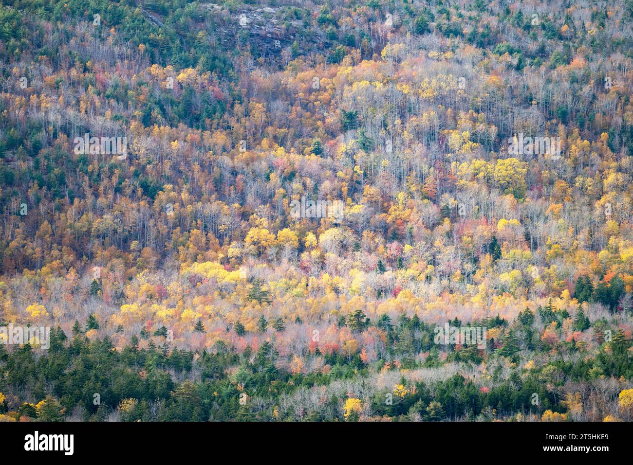 Beautiful Fall Colors at Acadia National Park Maine Stock Photo - Alamy