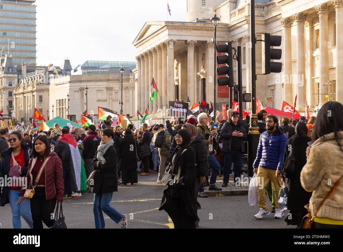 Crowd marches palestinian flags hi-res stock photography and images - Alamy