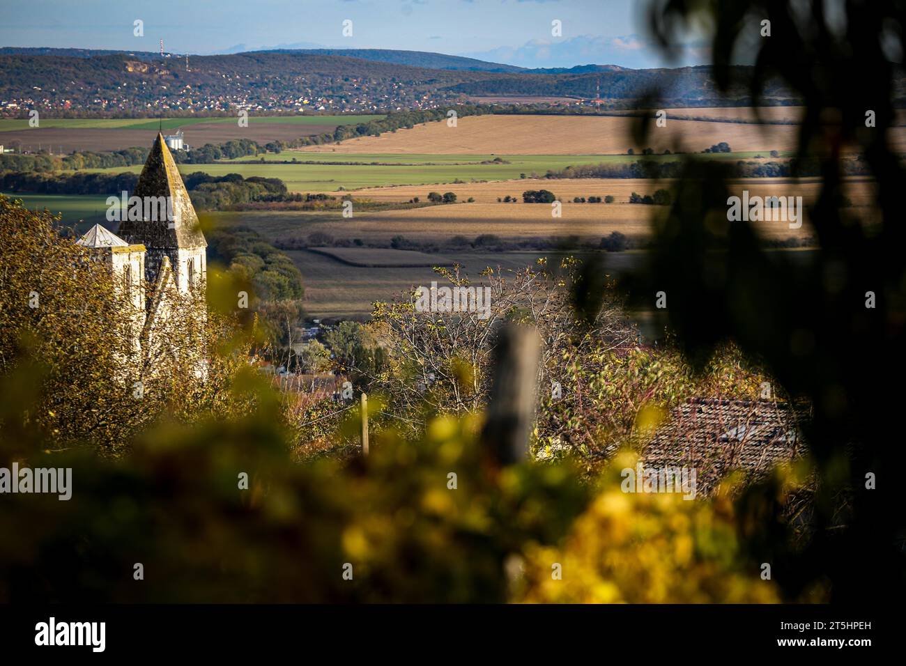 Budapest, Hungary, Hungary. 5th Nov, 2023. A vineyard in the autumn in ...
