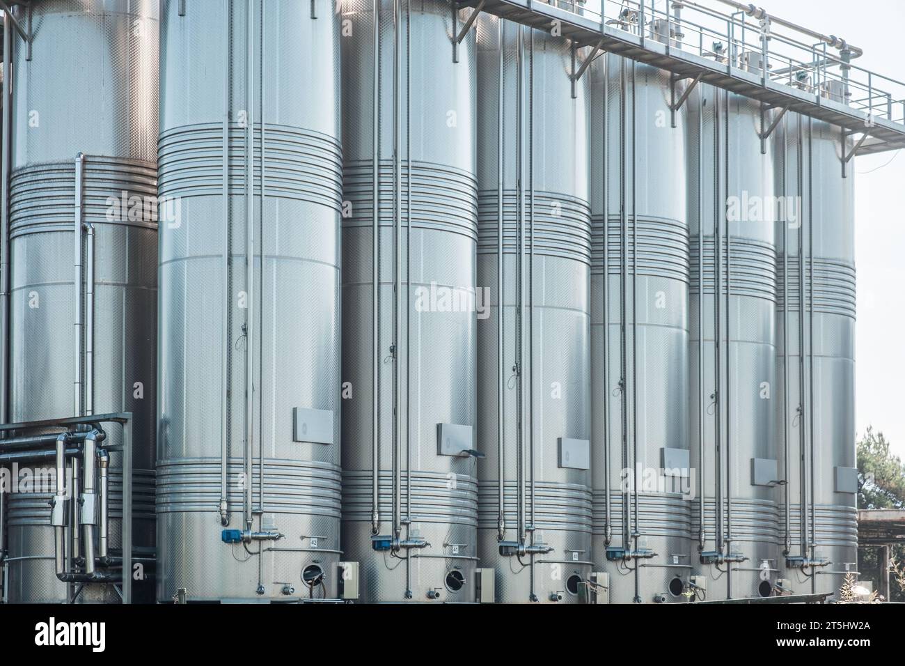Close up of stainless vertical steel storage tanks for wine ...