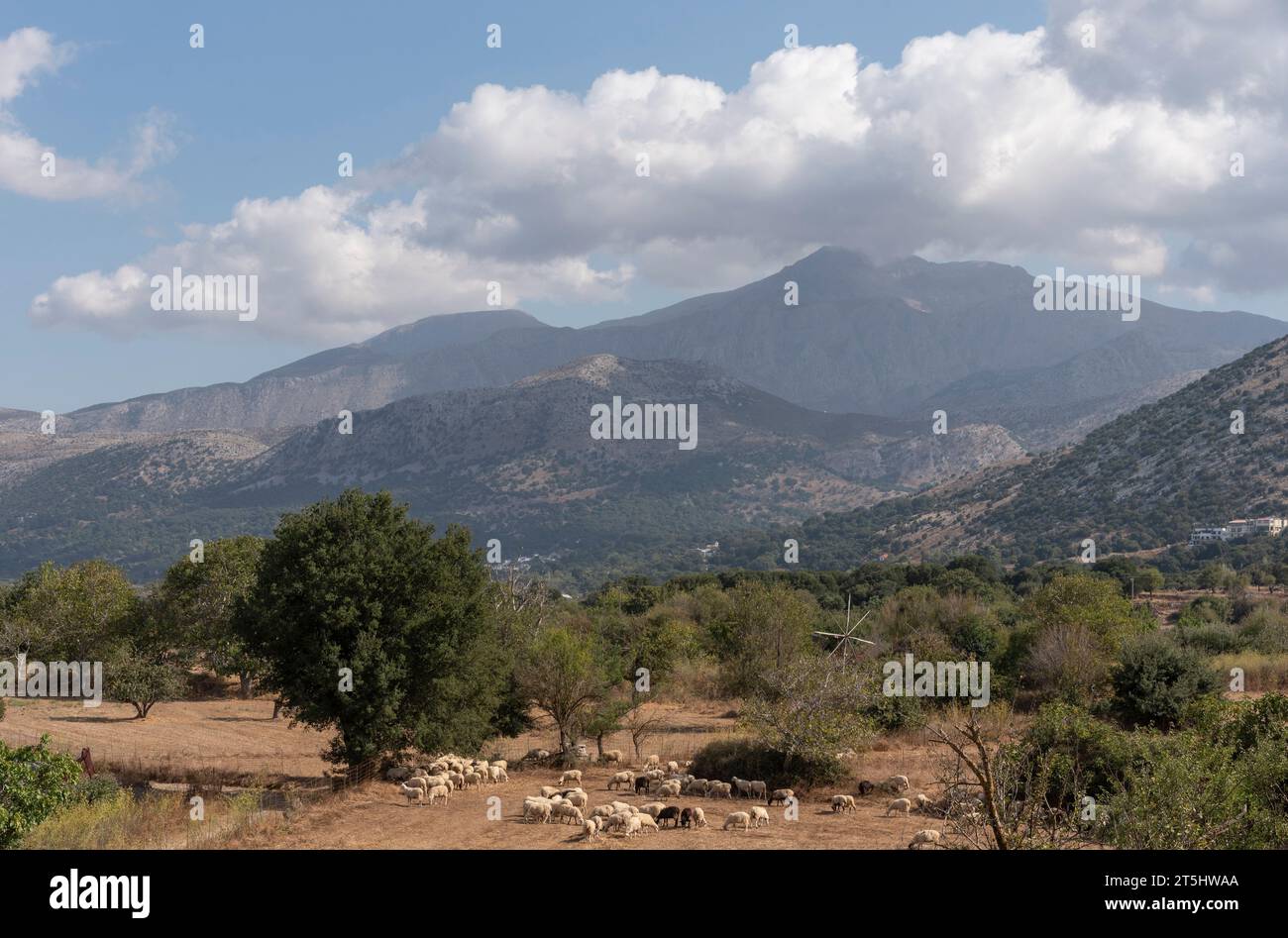 Lasithi plateau, Crete, Greece. 30.09.2023. Distant mountains and field ...