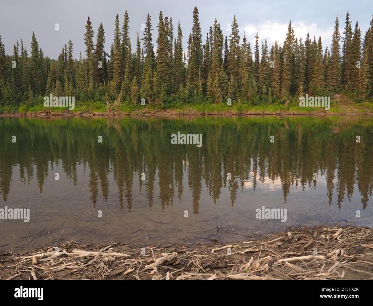 beautiful natural reflection in river, yukon, canada Stock Photo - Alamy