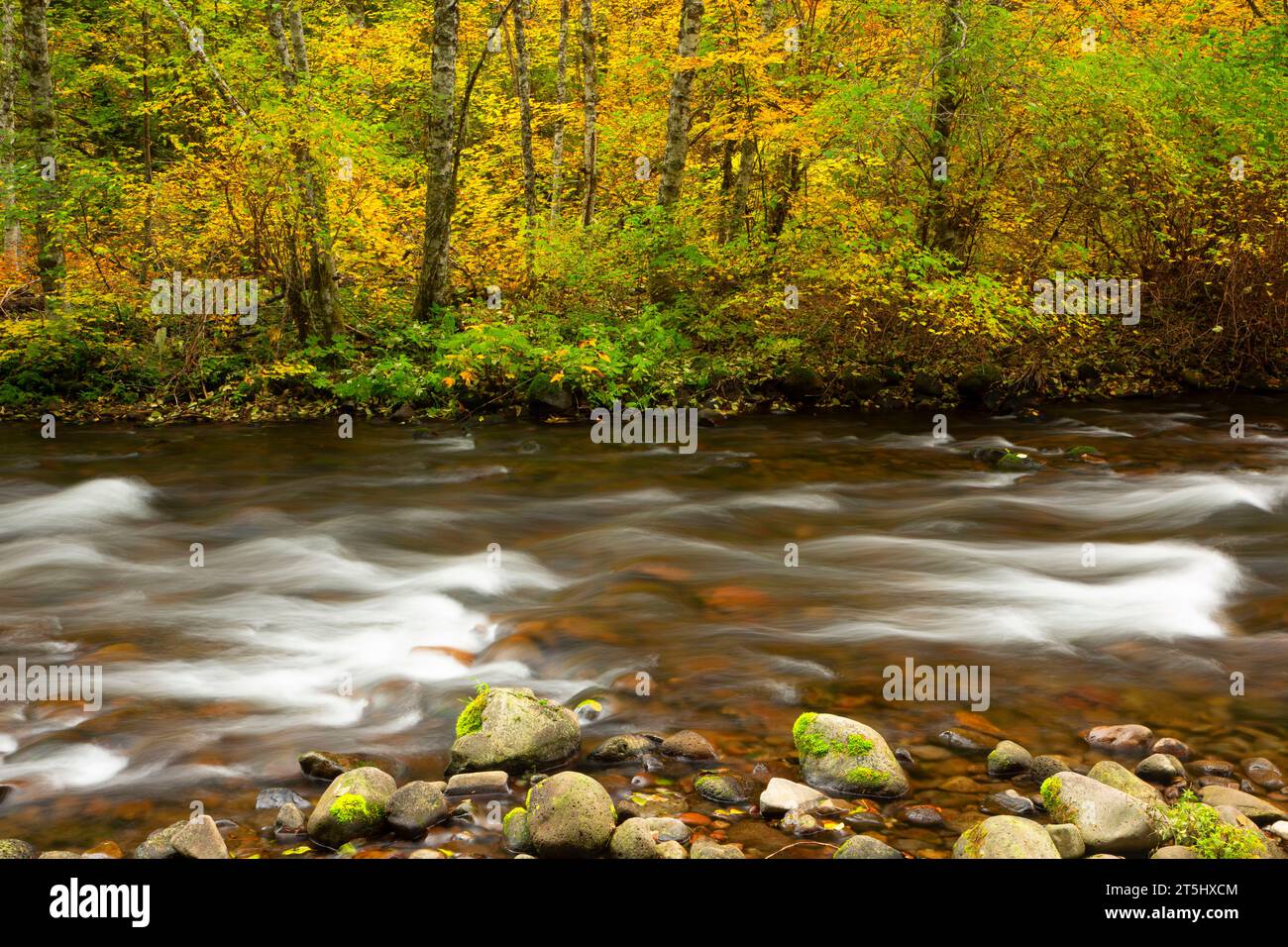 Marion Creek, Willamette National Forest, West Cascades Scenic Byway ...