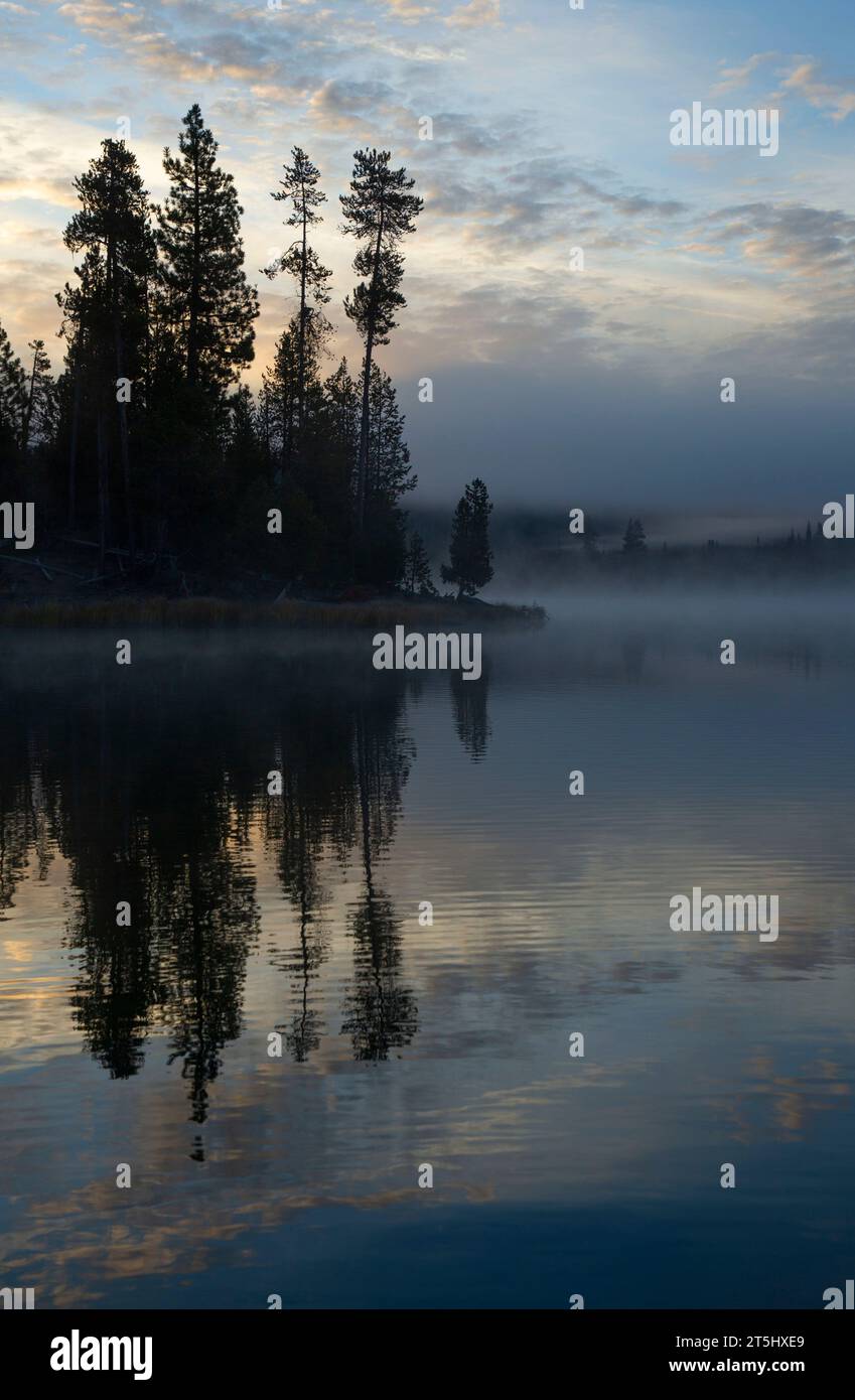 Forest silhouette at Little Lava Lake, Cascade Lakes National Scenic ...