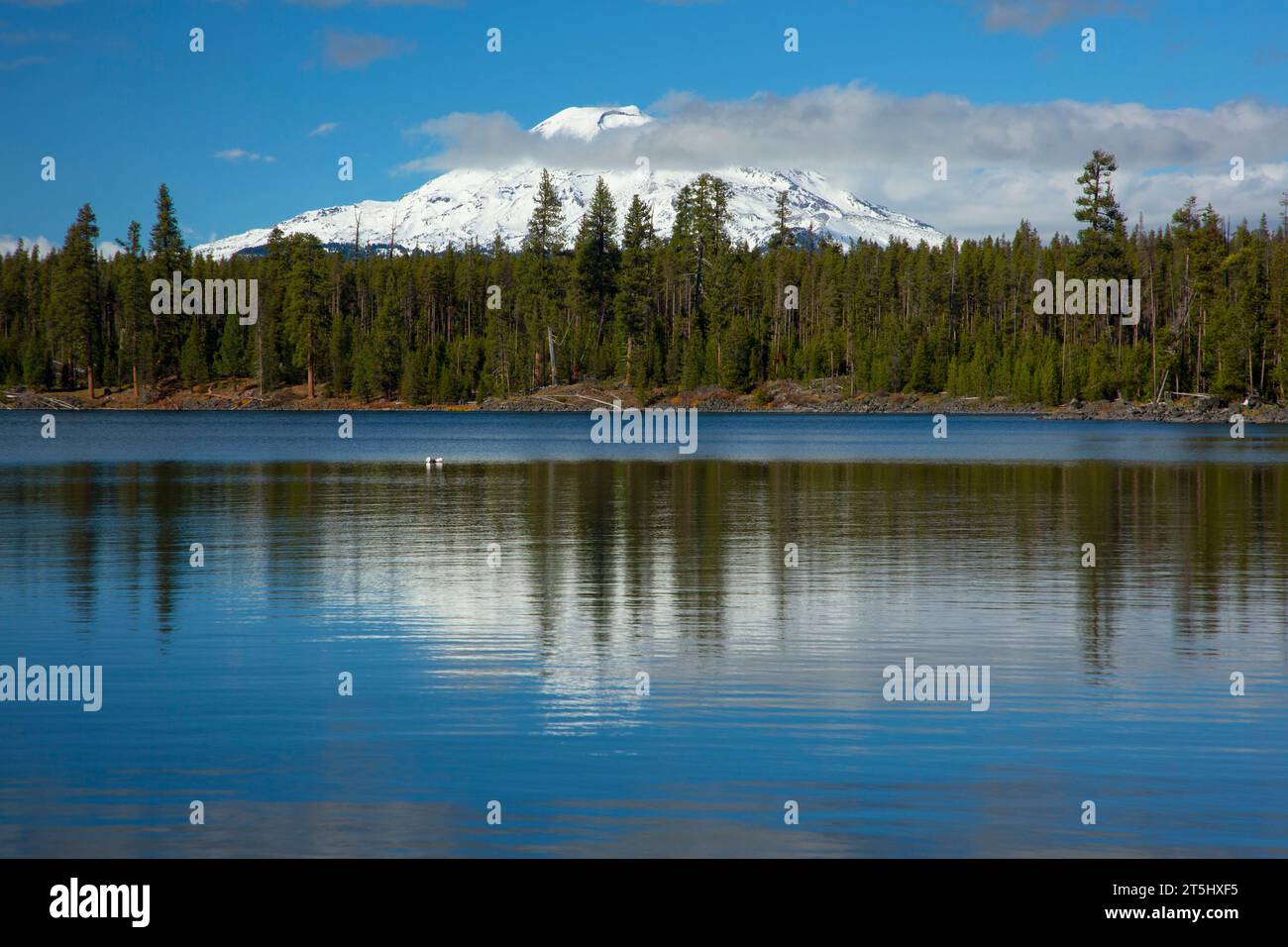 South Sister from Lava Lake, Cascade Lakes National Scenic Byway ...