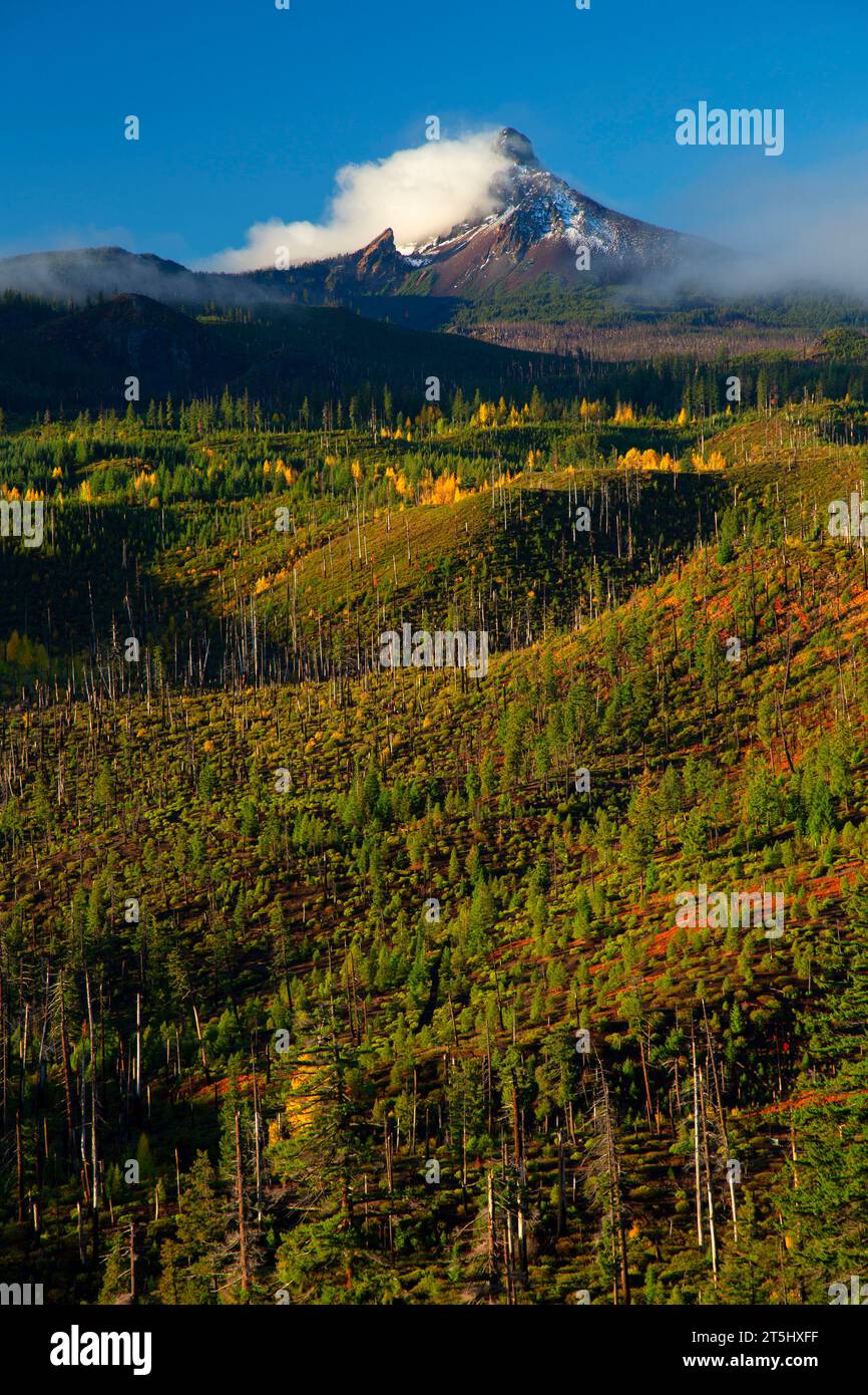 Mt Washington from Mt Washington Viewpoint, McKenzie Pass-Santiam Pass ...
