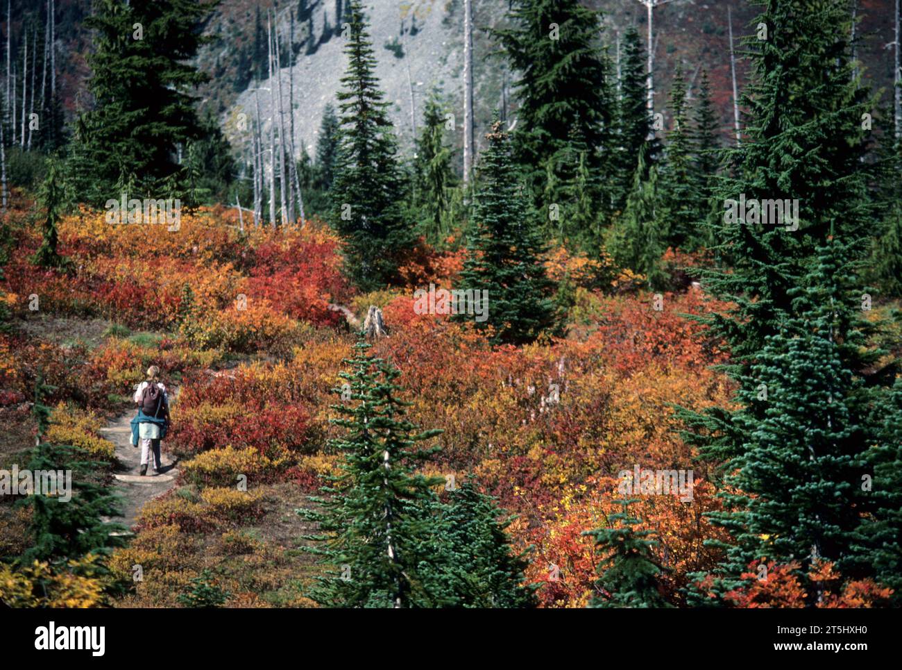 Bench lake mount rainier hi-res stock photography and images - Alamy