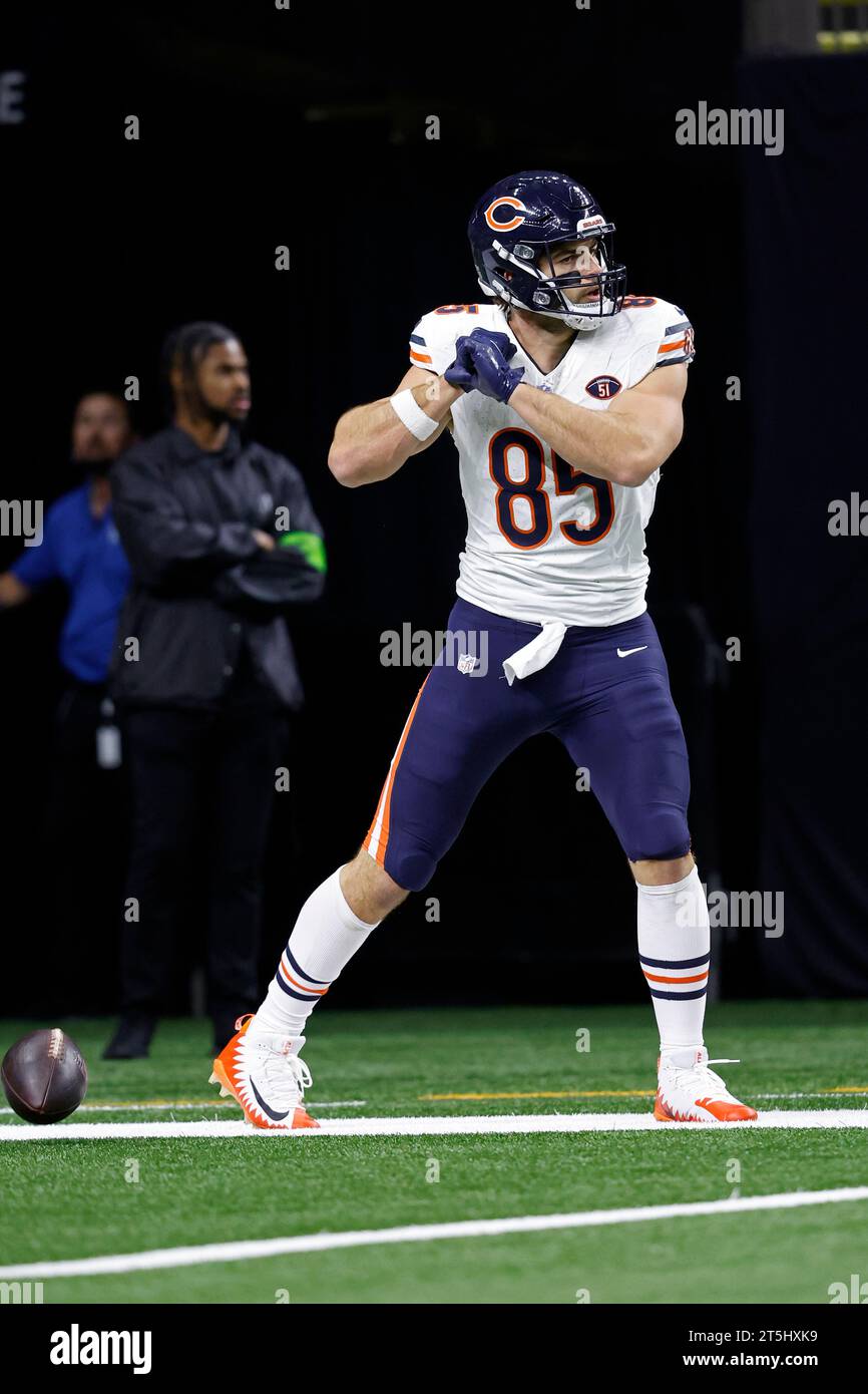 Chicago Bears tight end Cole Kmet (85) celebrates after scoring a ...