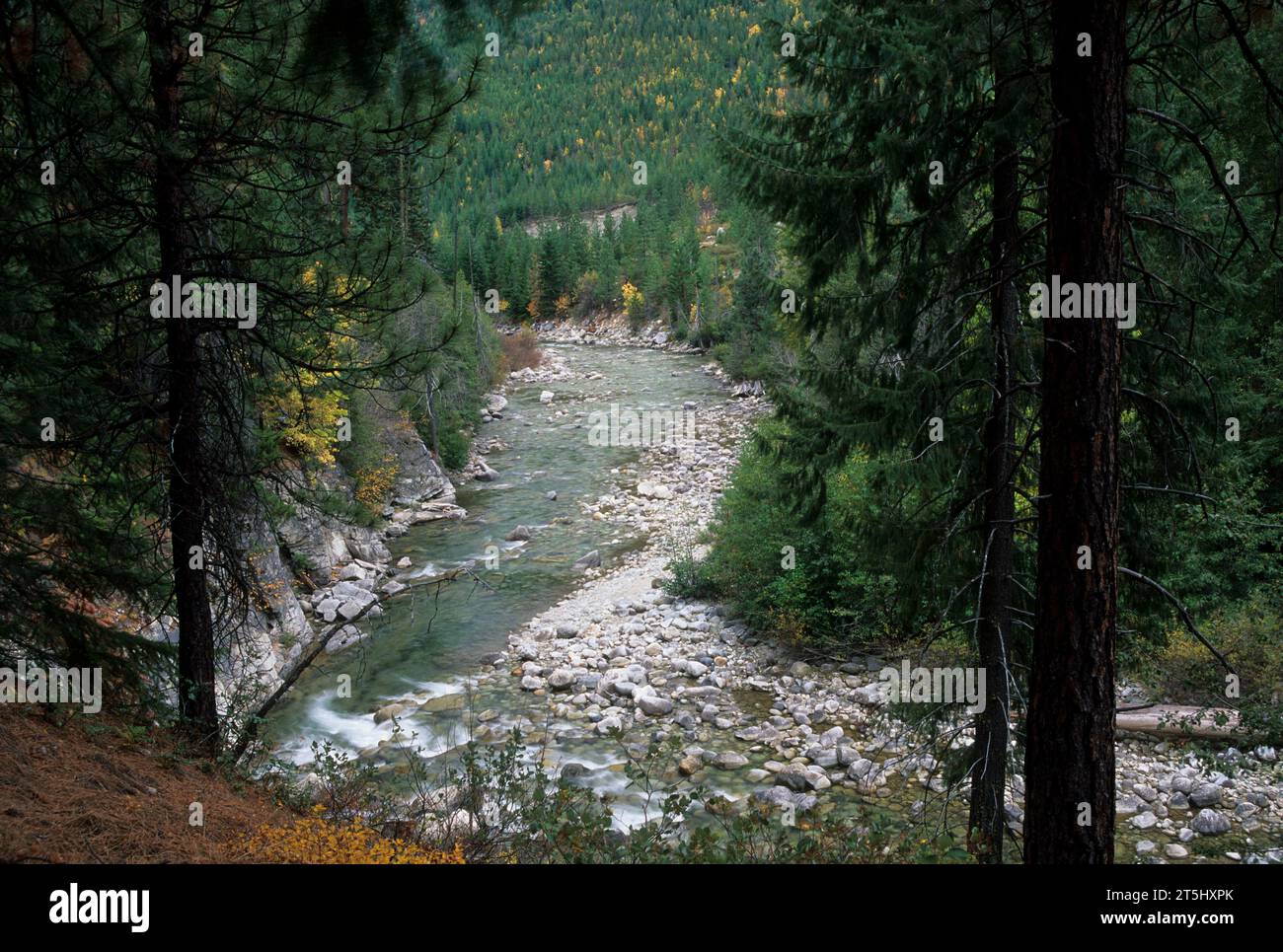 Entiat River, Wenatchee National Forest, Washington Stock Photo - Alamy