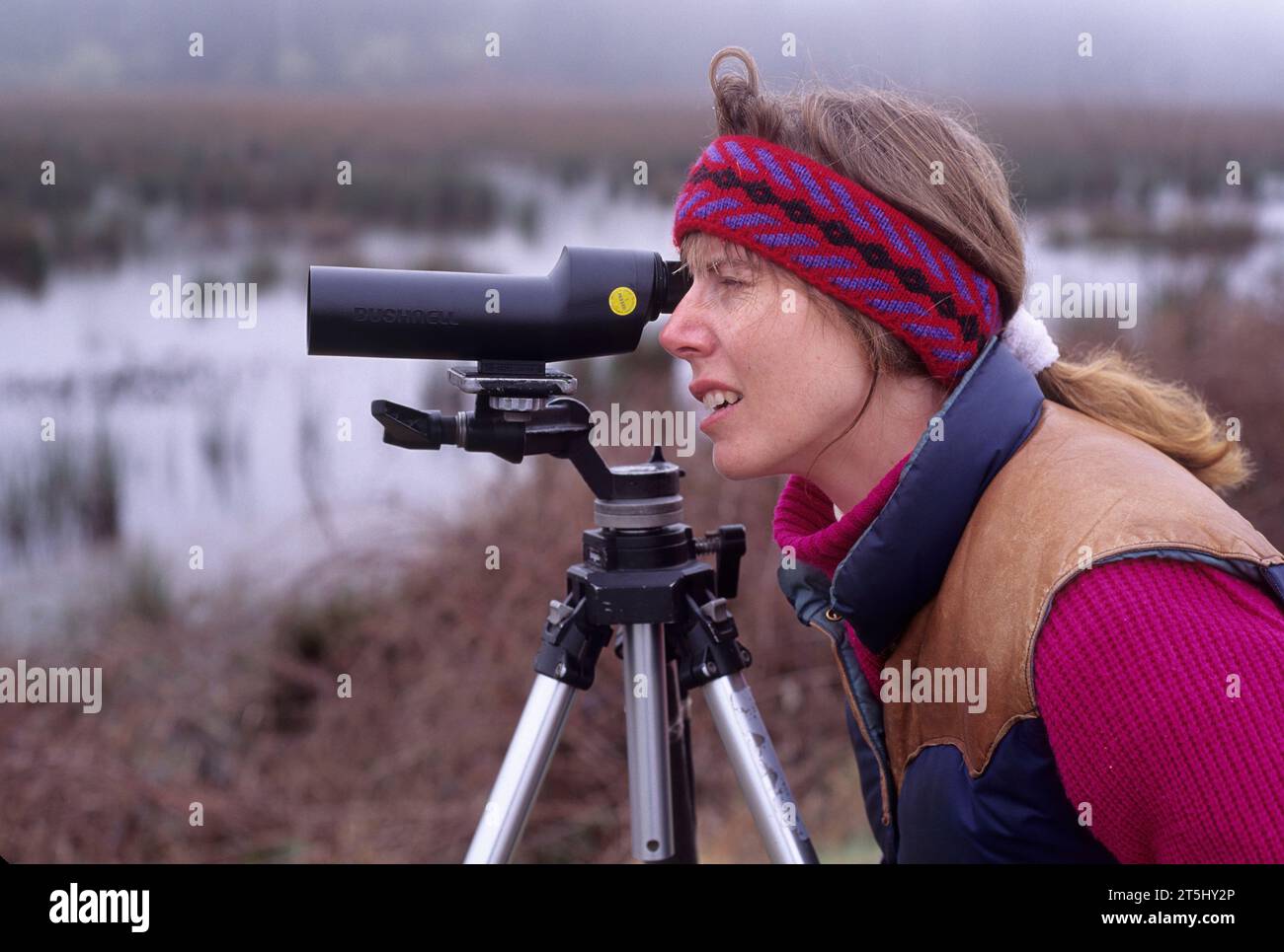 Birdwatching, Willapa Bay National Wildlife Refuge, Washington Stock ...