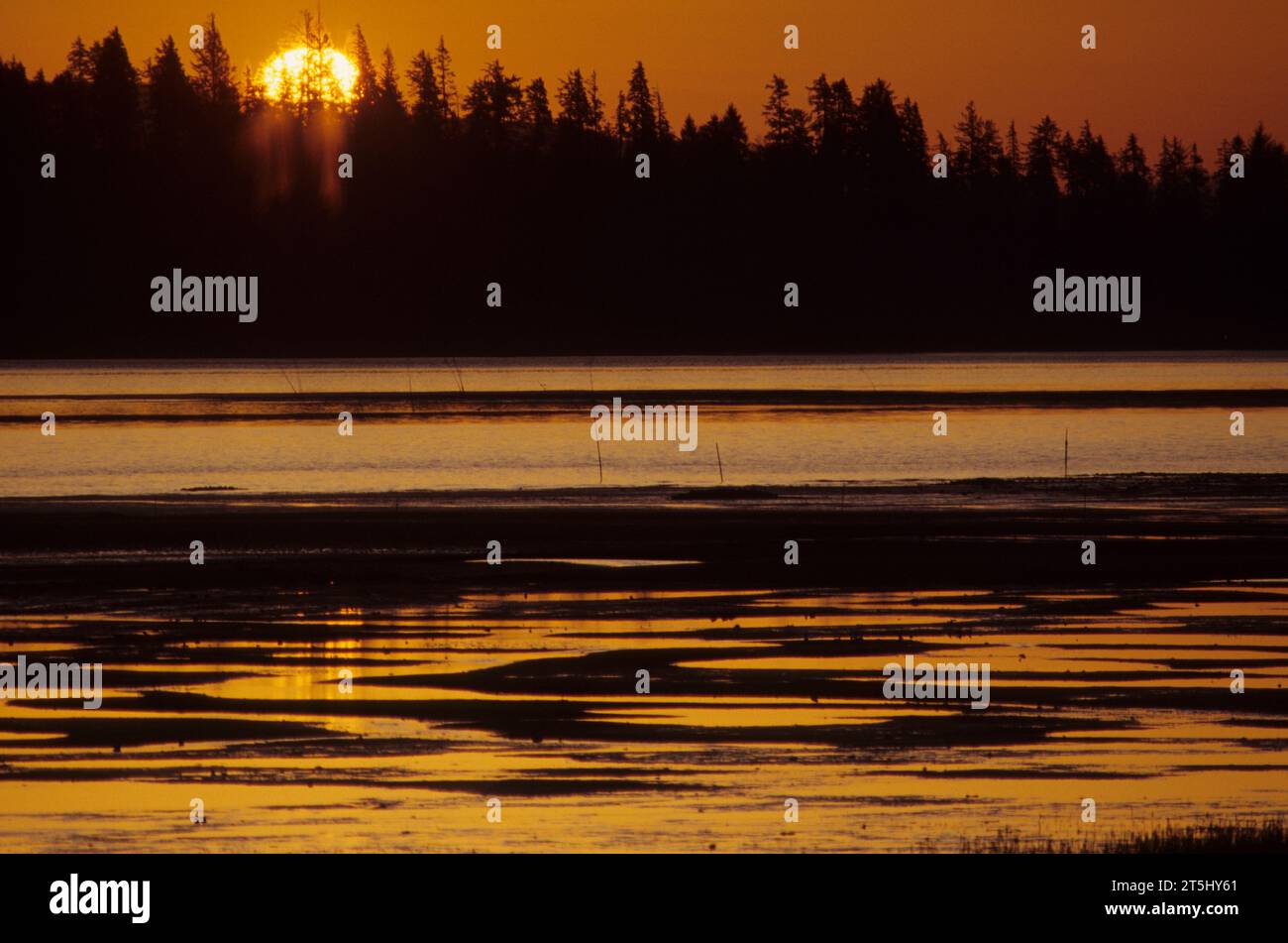 Sunrise, Willapa Bay, Pacific County, Washington Stock Photo - Alamy