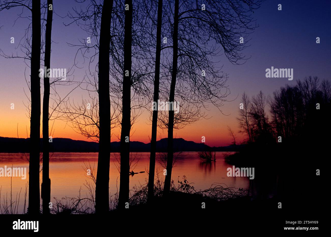 Columbia River sunset, Julia Butler Hanson Columbian Whitetail Deer ...