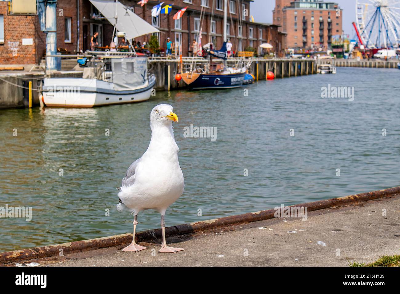Wismar an der ostsee hi-res stock photography and images - Alamy
