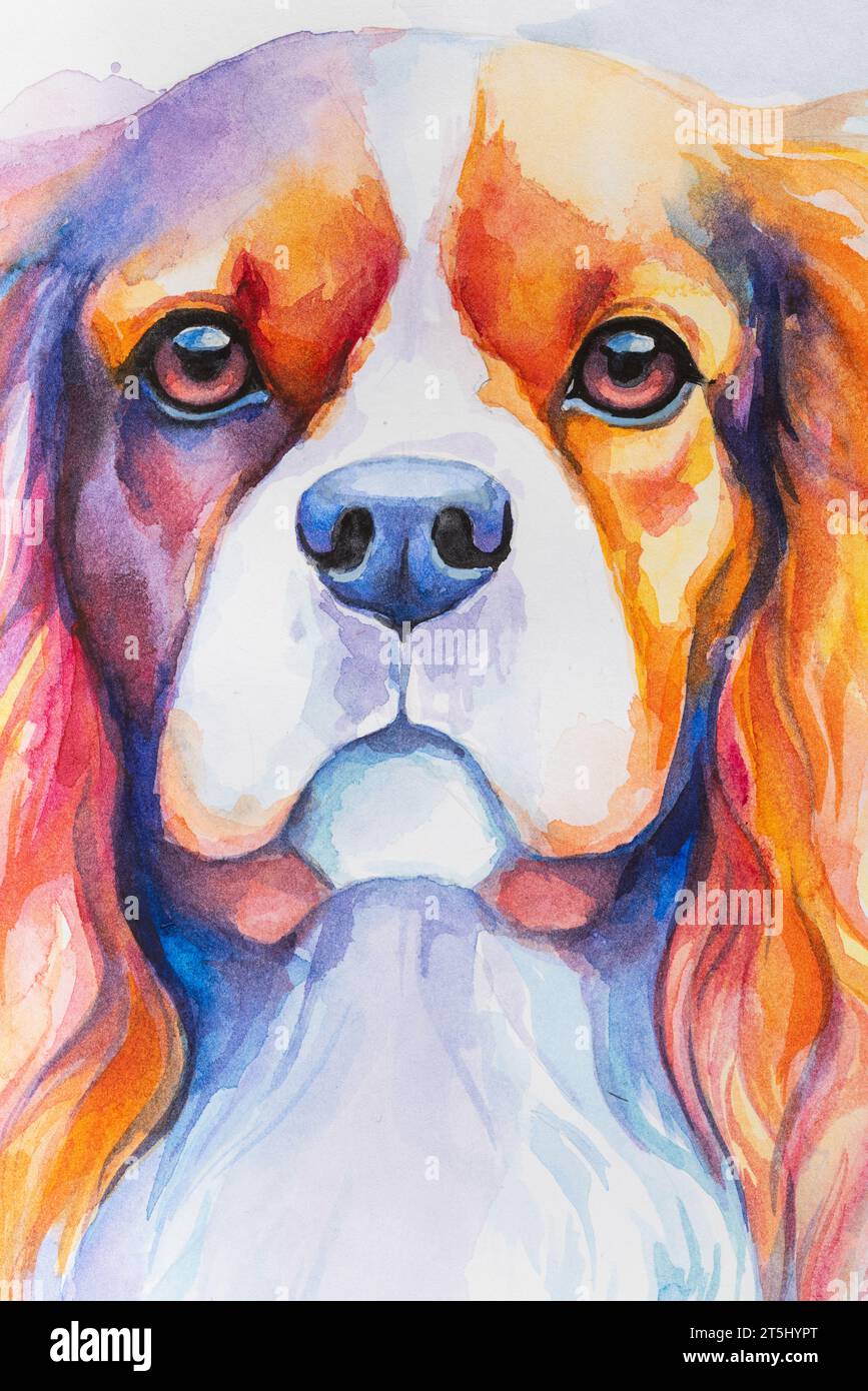 dog painted in watercolor on a white background Stock Photo - Alamy