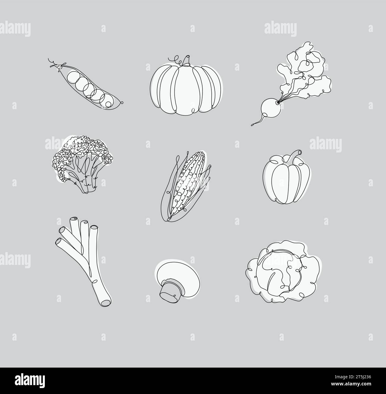 Vegetables icons peas, pumpkin, radish, broccoli, corn, pepper, leek ...