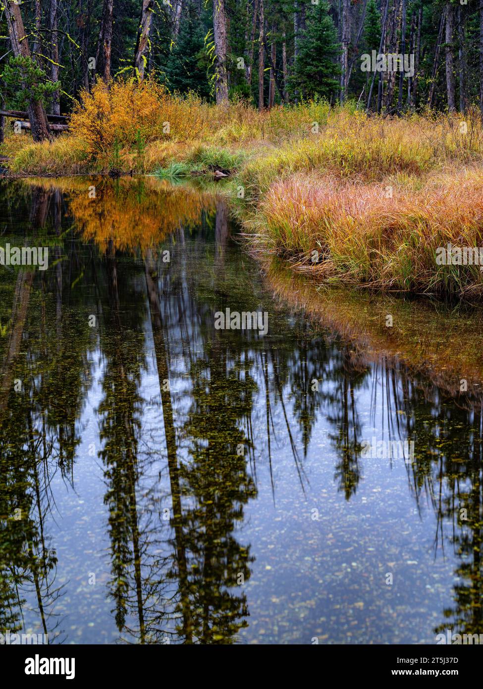 Fall rain hi-res stock photography and images - Alamy