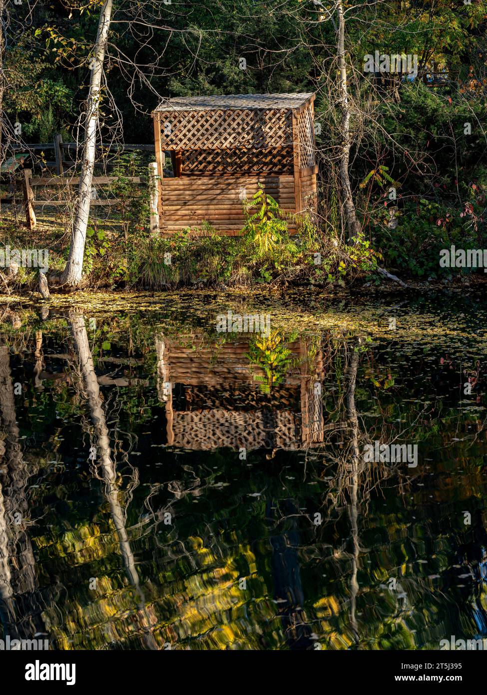 Bird blind hi-res stock photography and images - Alamy