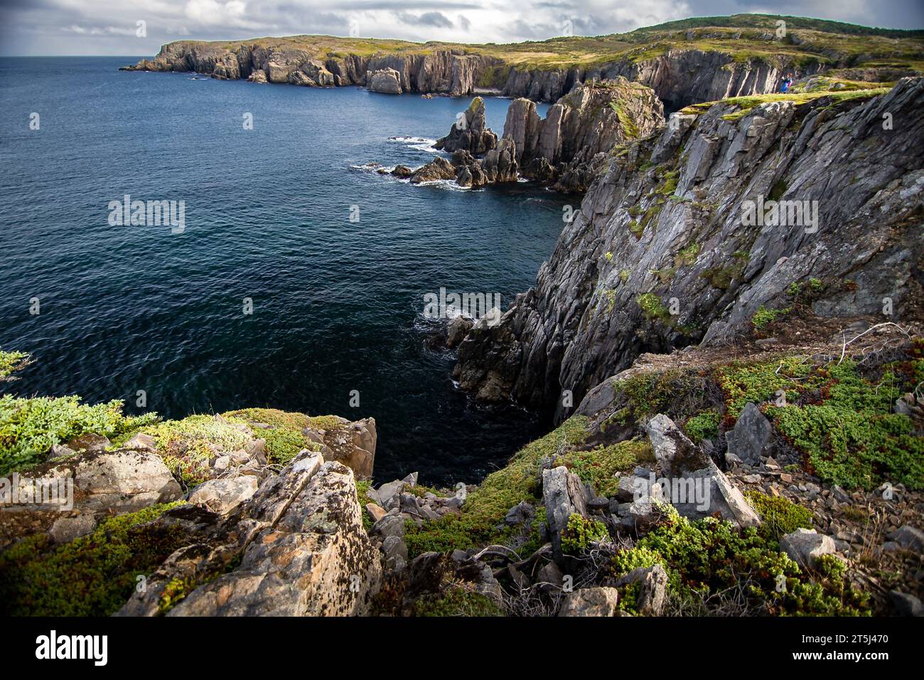 High East Coast cliffs at Cable John Cove overlooking the Atlantic ...