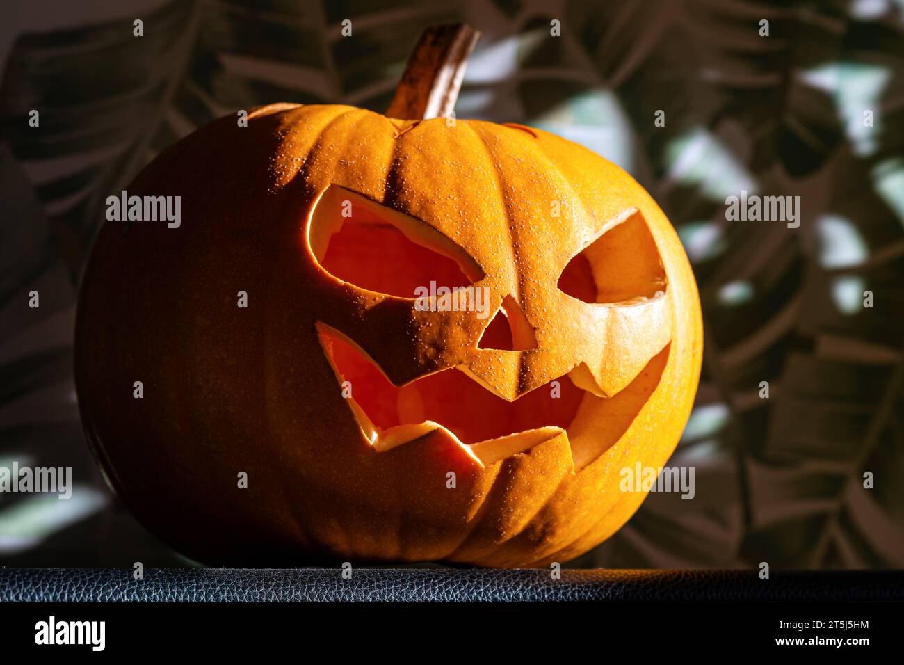Traditional American scary jack-o'-lantern in daylight, made from a ...