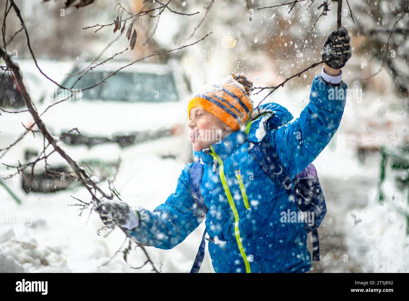 Funny boy pouring snow on himself from tree branches during snowfall in ...