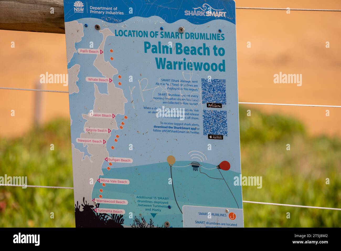 Shark drumlines hi-res stock photography and images - Alamy