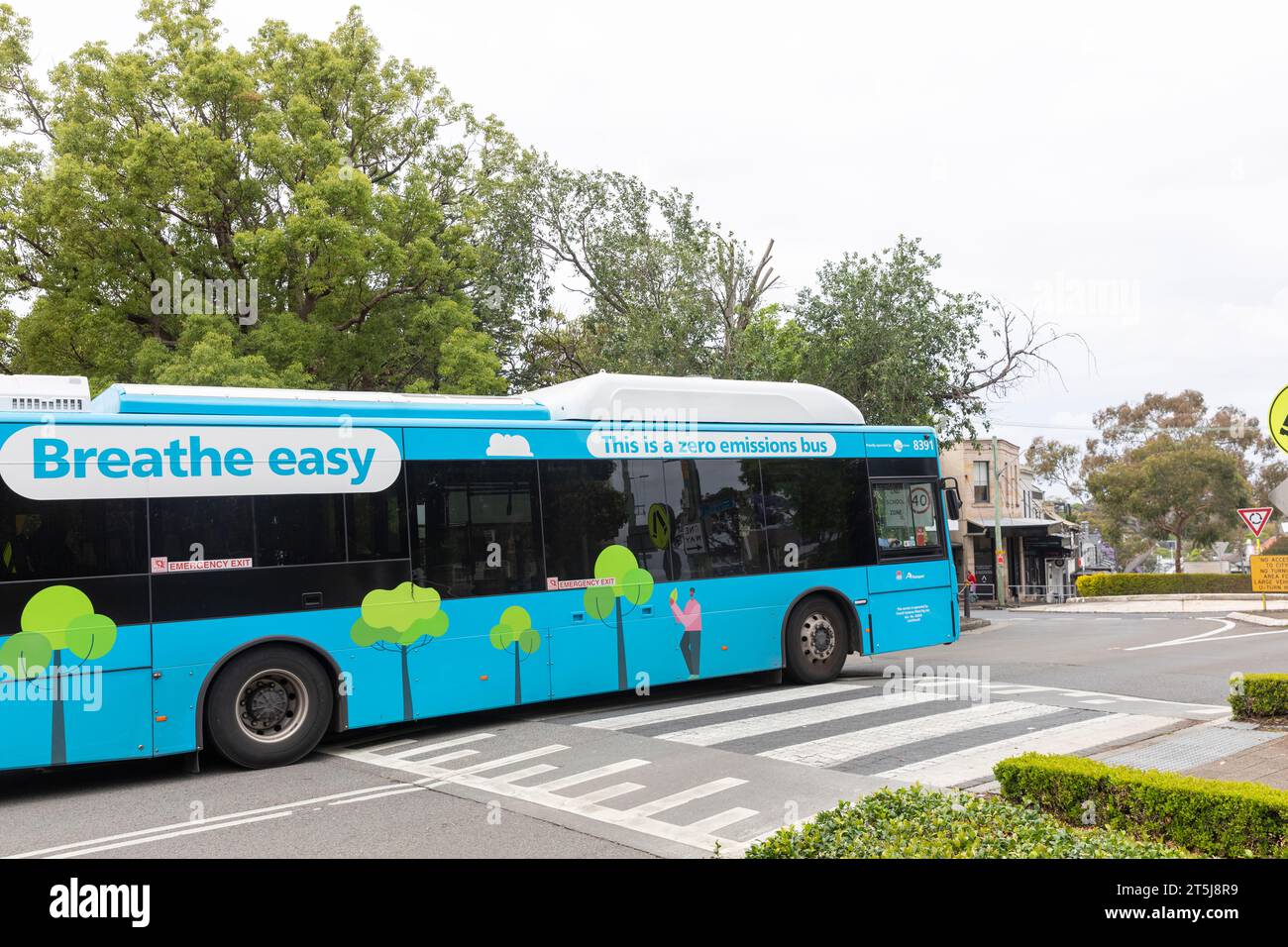 Balmain Sydney, Nero emissions public transport bus on darling street ...