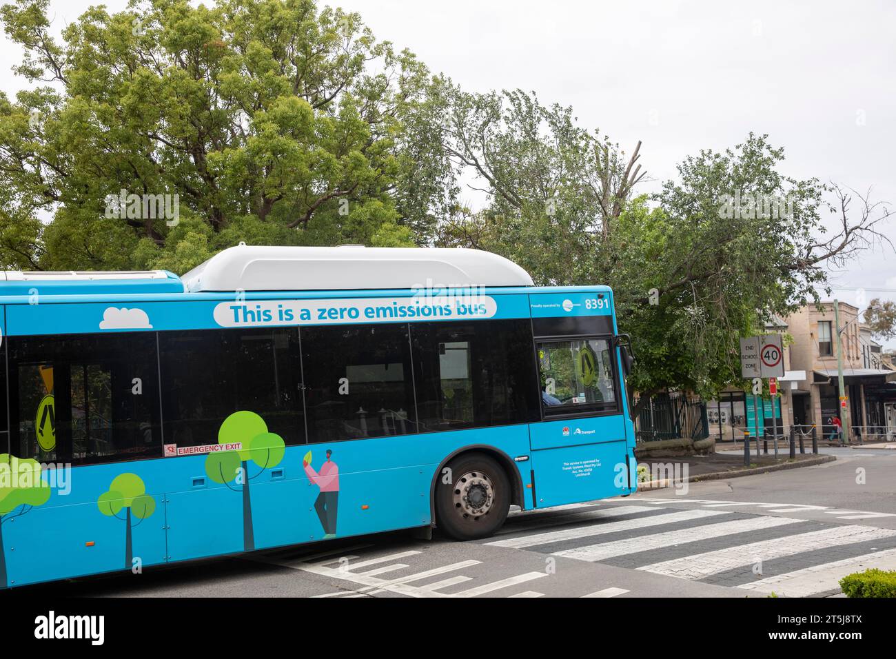 Balmain Sydney, Nero emissions public transport bus on darling street ...