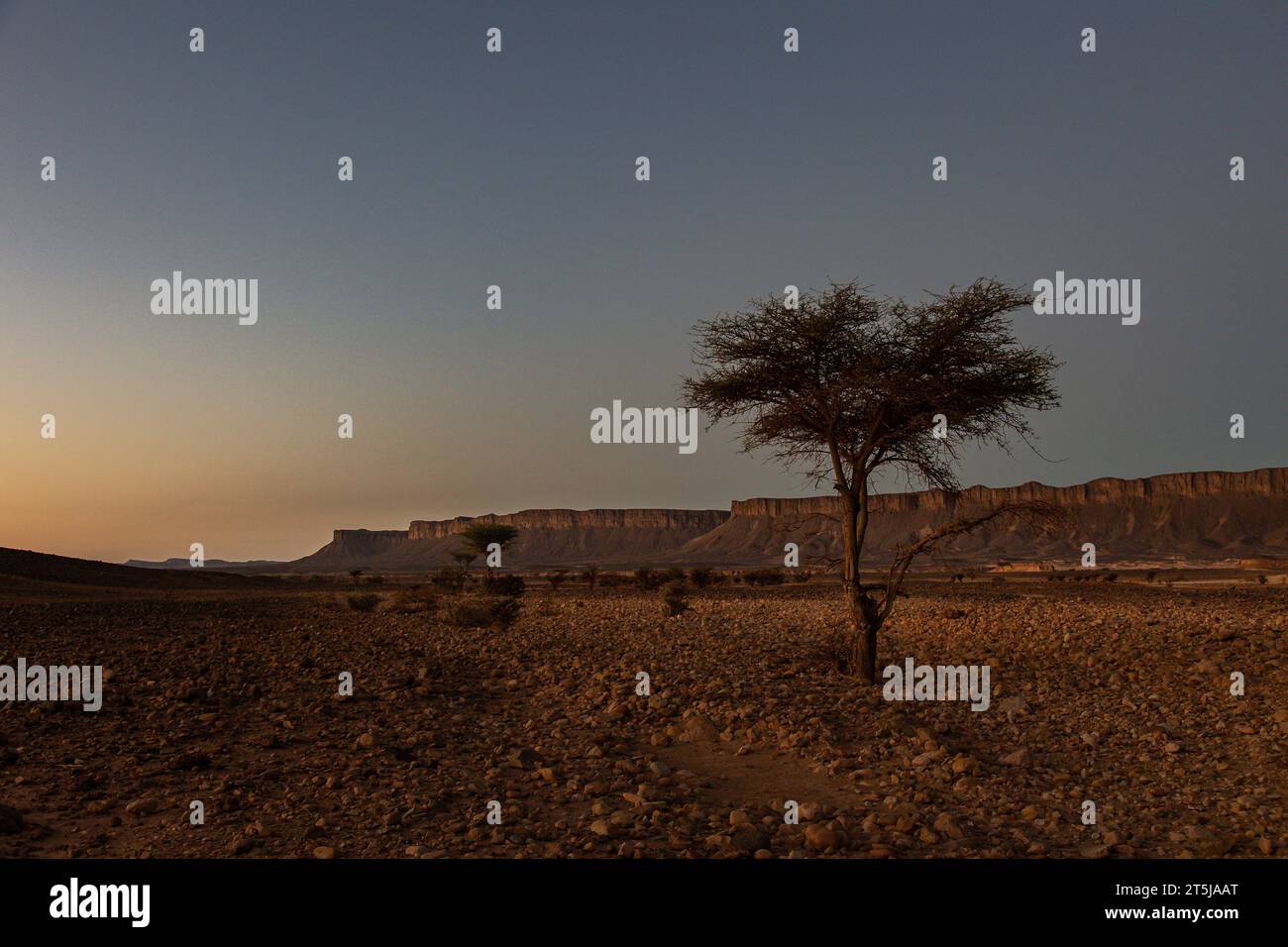 Desert landscapes in the Sahara Stock Photo - Alamy
