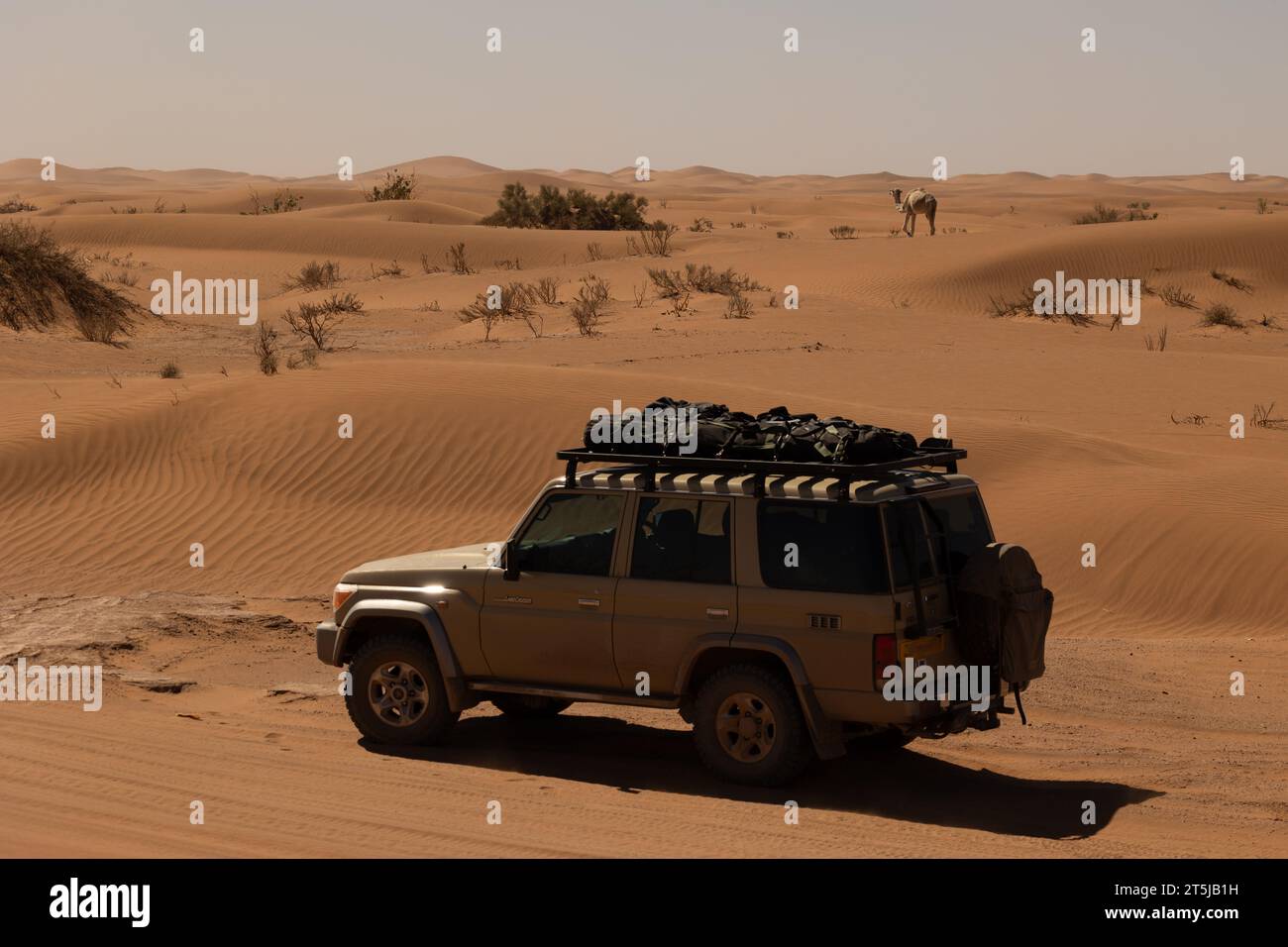 Overlanding in the Sahara desert Stock Photo - Alamy