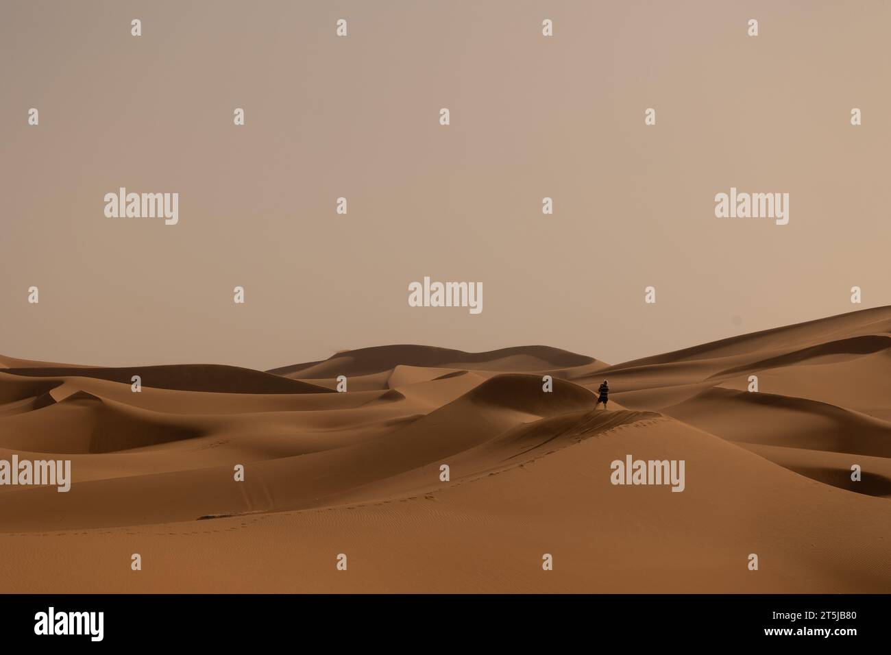 Sahara sand dunes Stock Photo - Alamy