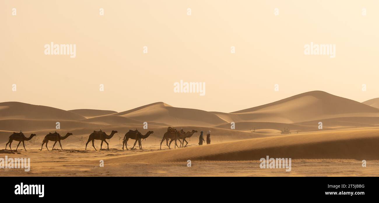 Desert open space hi-res stock photography and images - Alamy