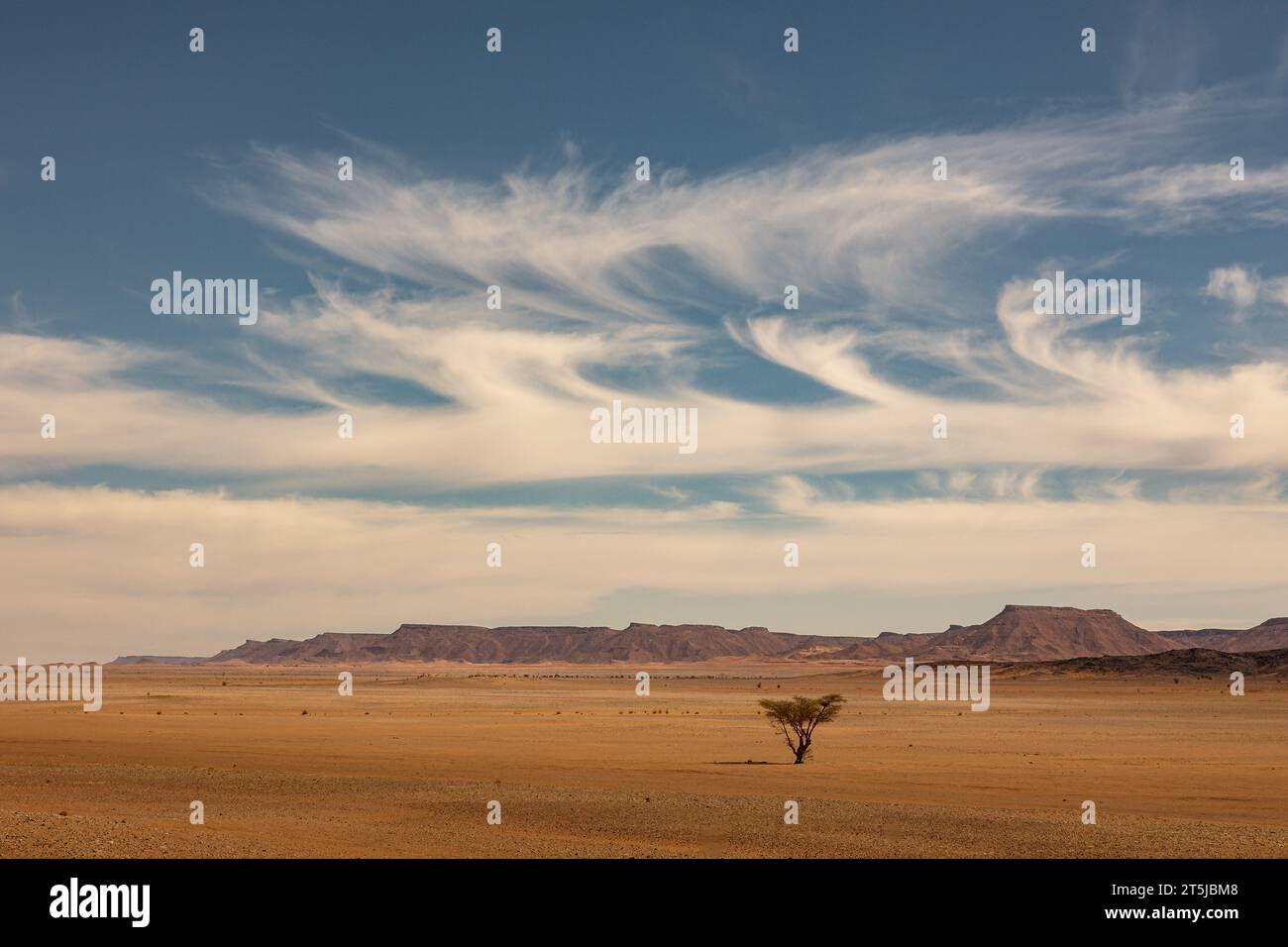 Desert landscapes in the Sahara Stock Photo - Alamy