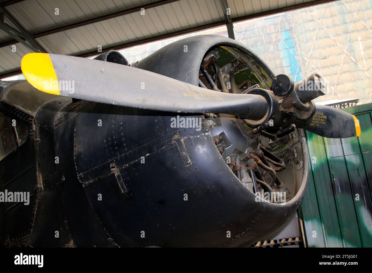 U 6 beaver hi-res stock photography and images - Alamy