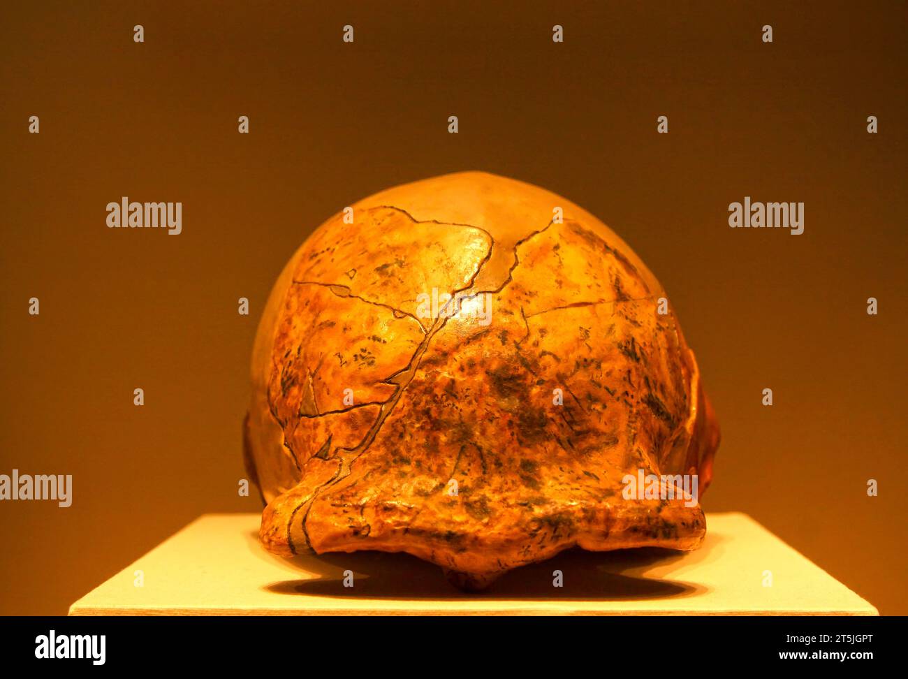 BEIJING, CHINA - EARLY PALEOLITHIC (CIRCA 280,000-230,000 YEARS AGO ...