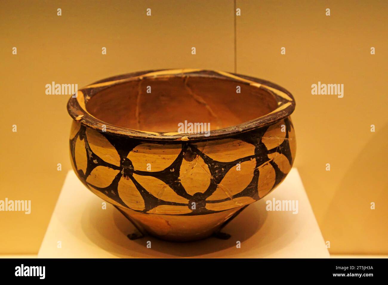 CHINA - ANCIENT: China's exhibition hall painted pottery basin ...