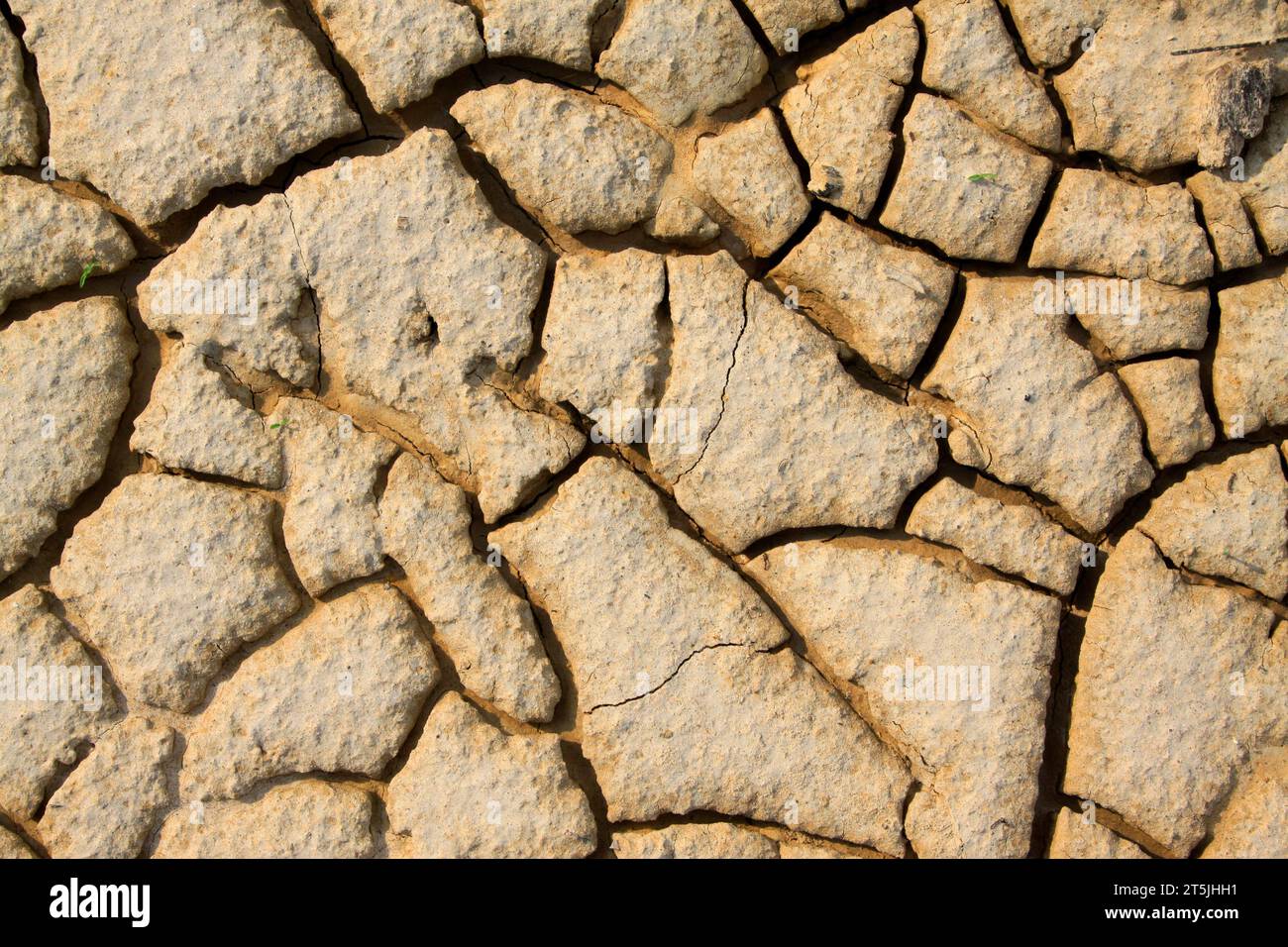 dry land in the wild, closeup of photo, north china Stock Photo - Alamy