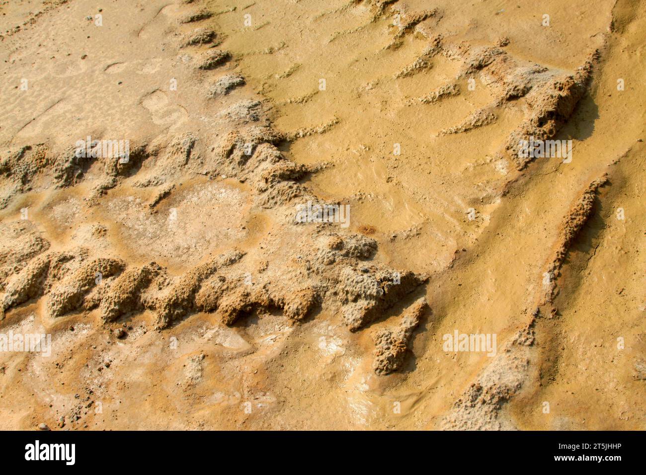 tracing rut on the land, in the wilderness Stock Photo - Alamy