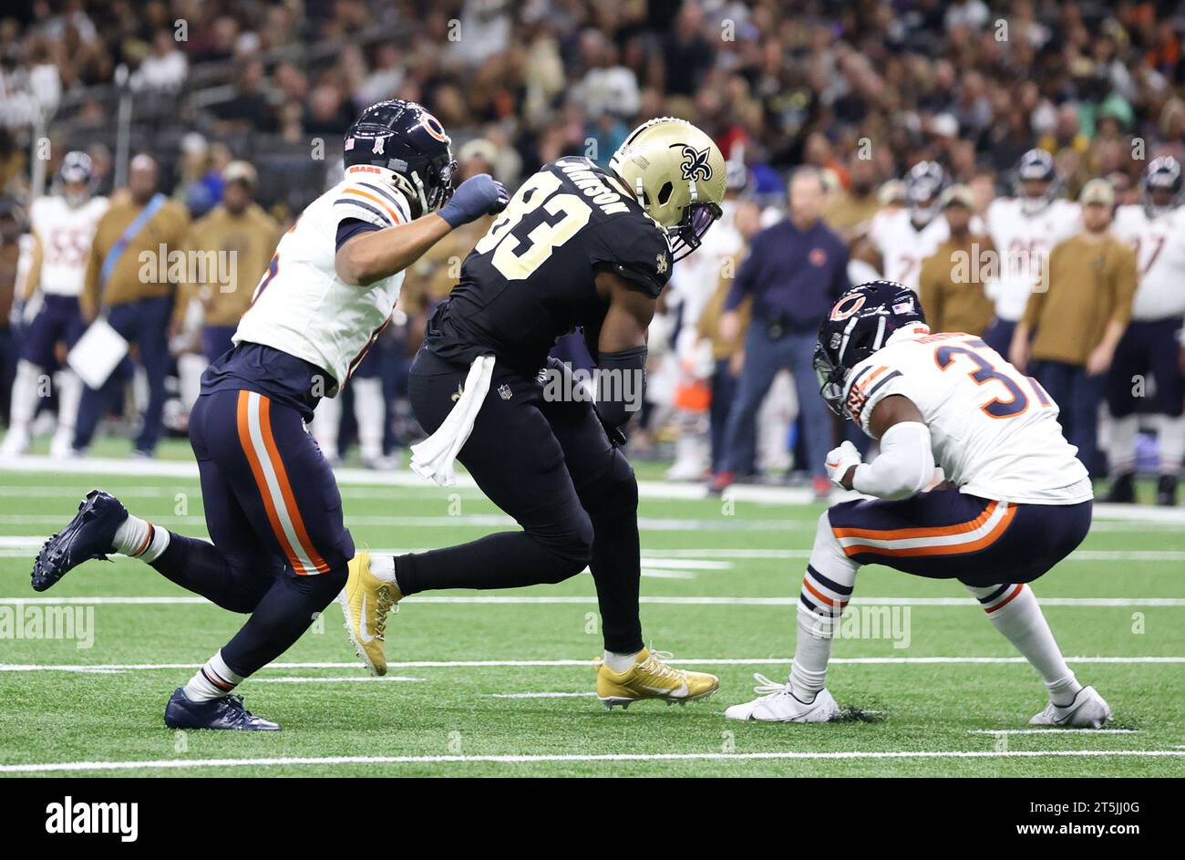 Kyler gordon bears hi-res stock photography and images - Alamy