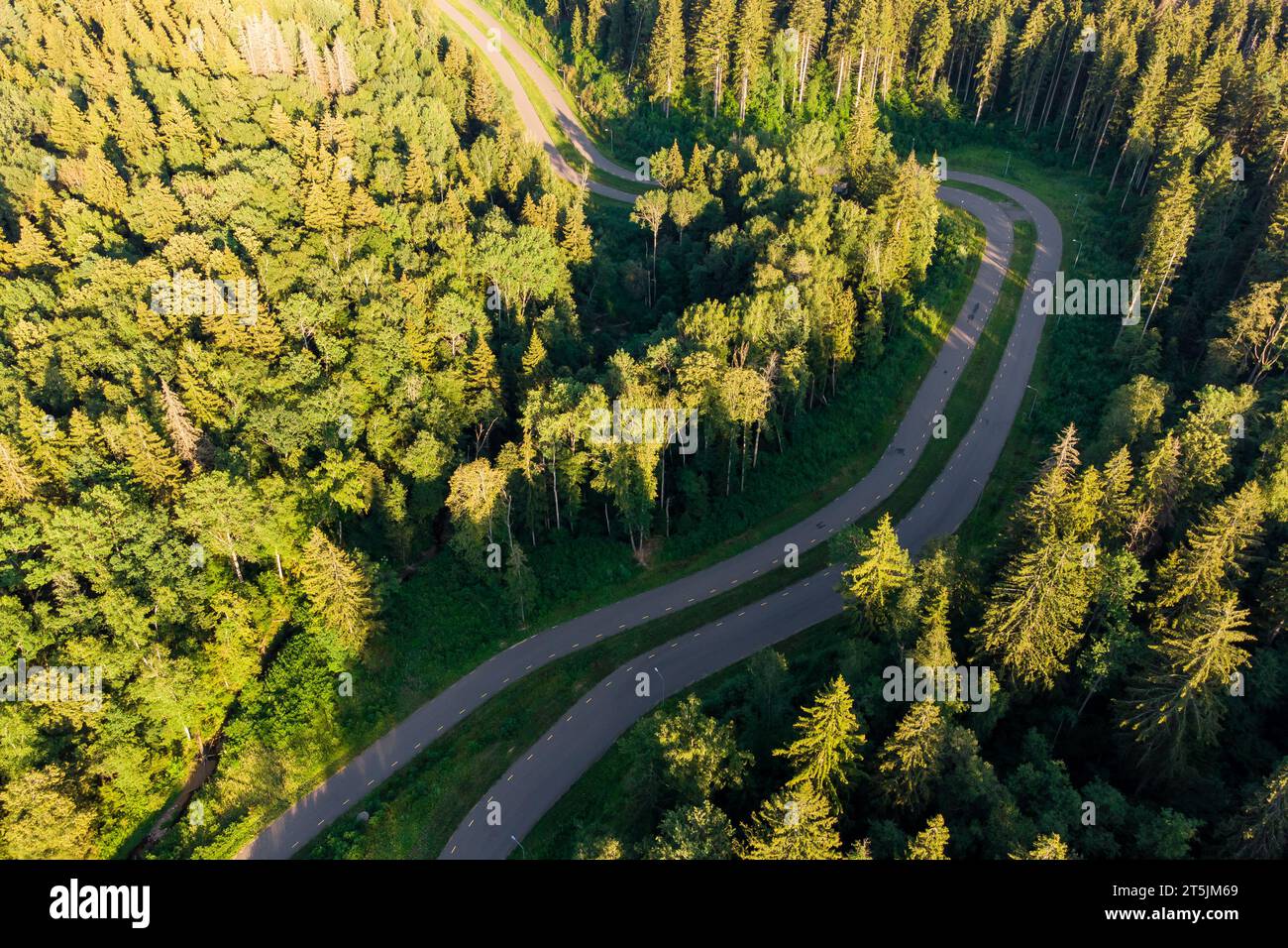 View from above of a roller ski track in the forest. Scenic asphalt ...