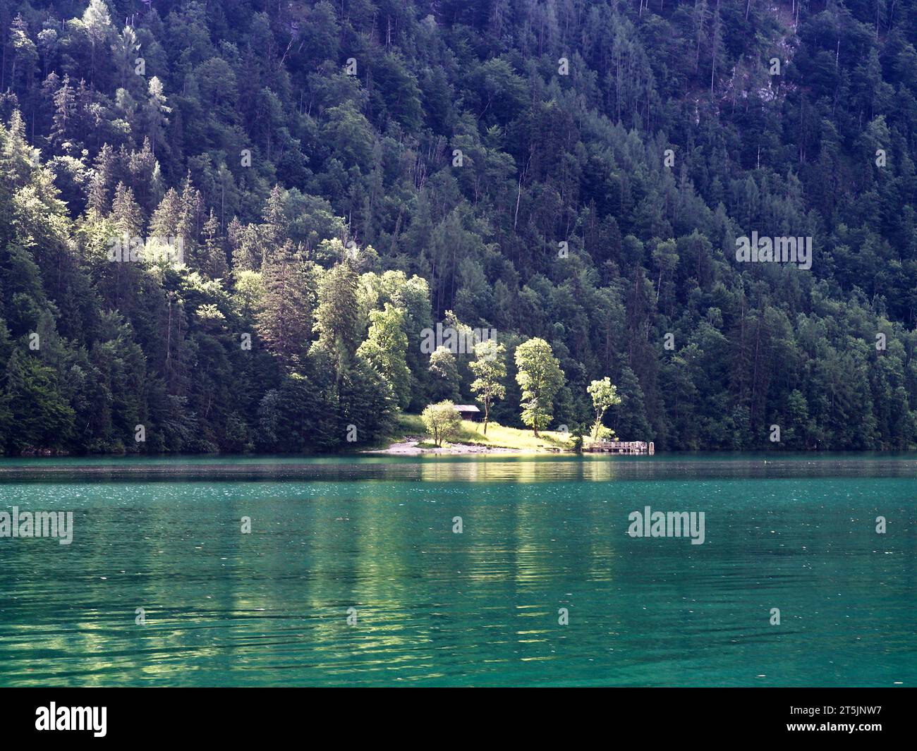 Lake Konigssee waterfront landscape in Bavaria, Germany Stock Photo - Alamy
