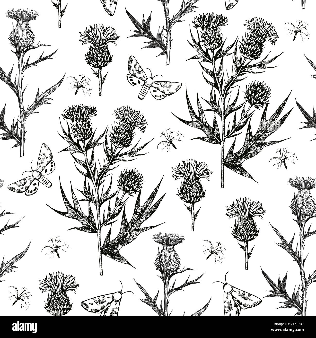 Scottish flowers Stock Vector Images - Alamy