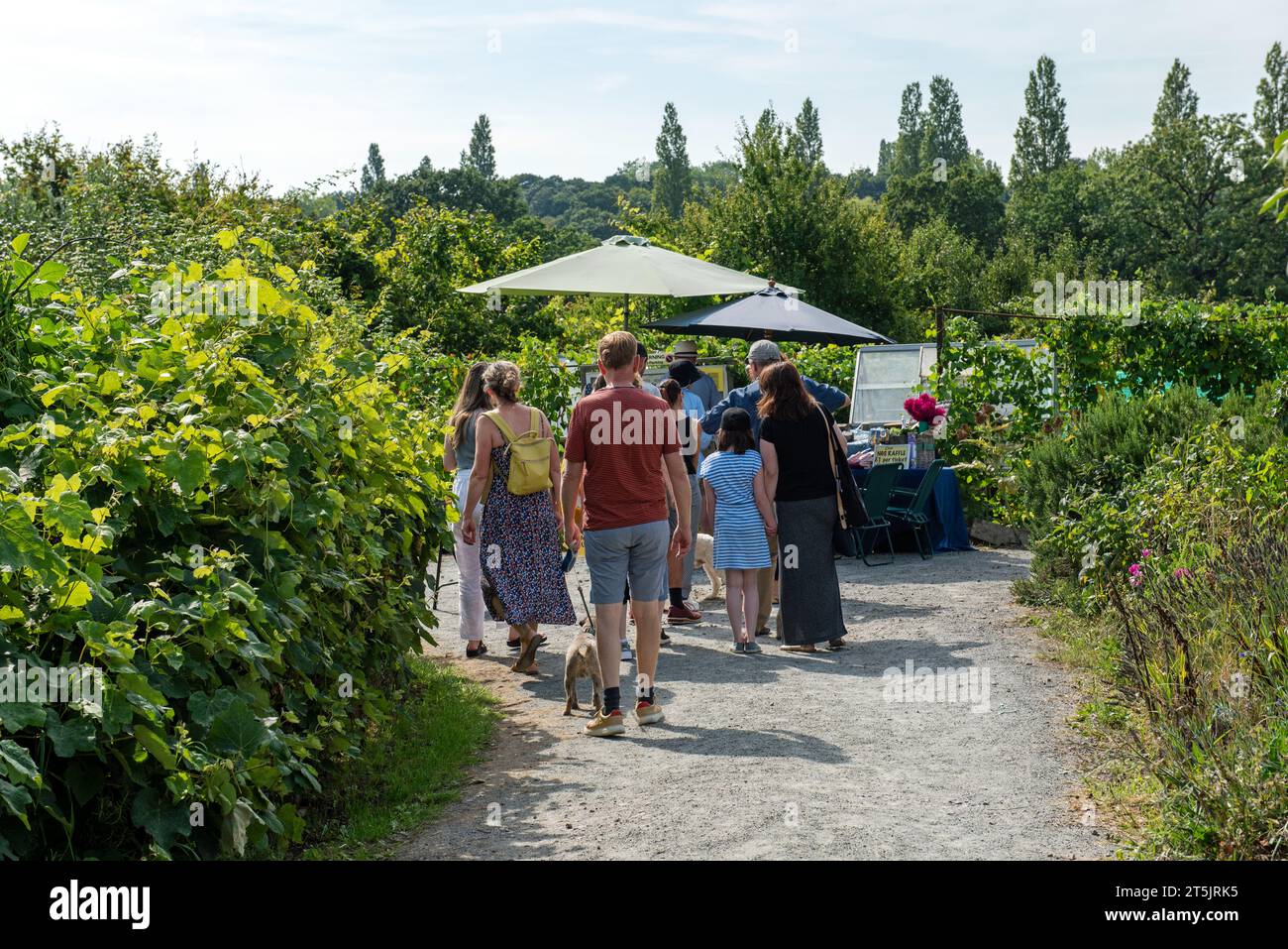 Allotment day hi-res stock photography and images - Alamy