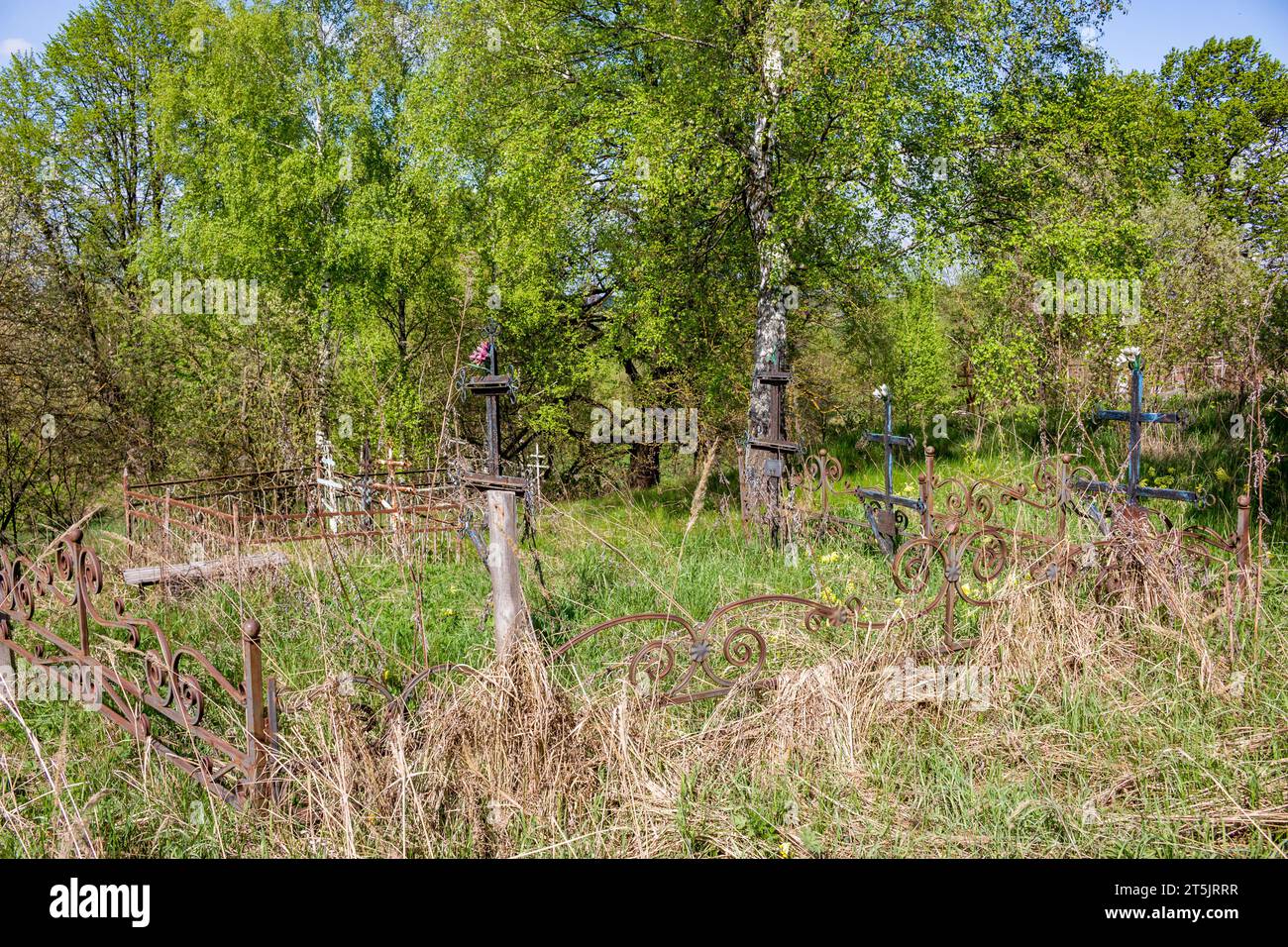 Christian rural cemetery with Orthodox crosses over the graves in the ...