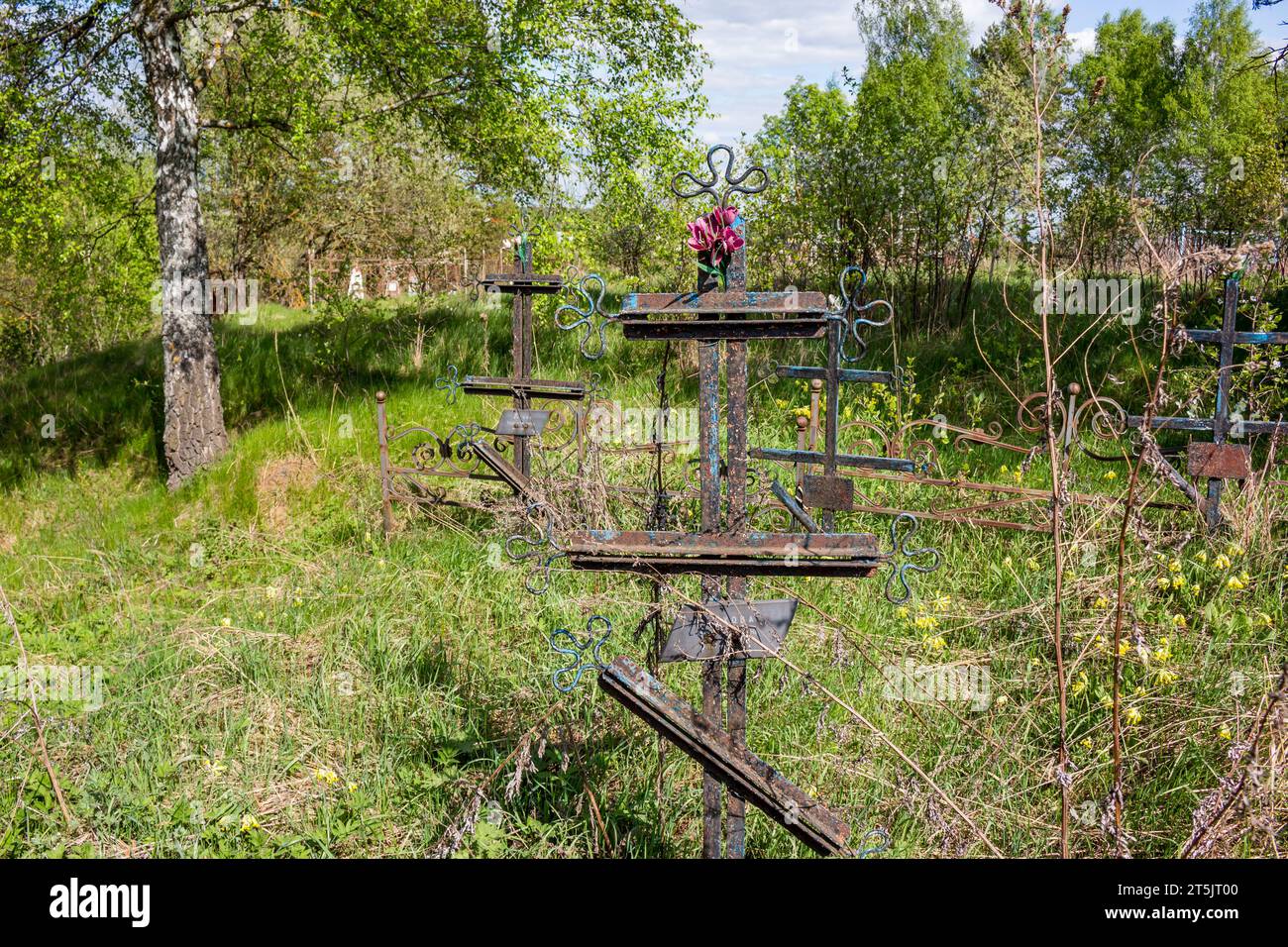 Christian rural cemetery with Orthodox crosses over the graves in the ...