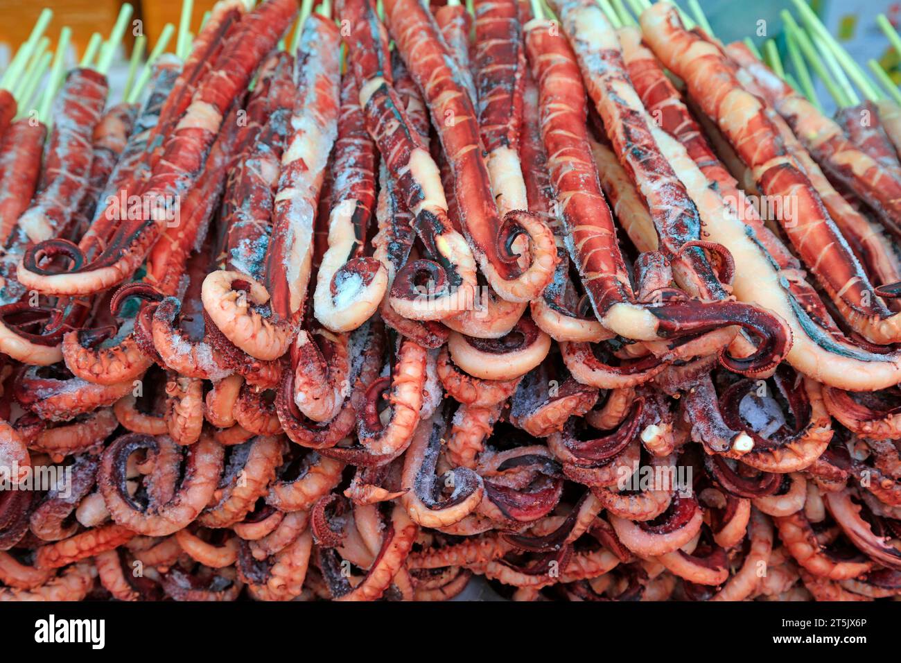 Octopus feet hi-res stock photography and images - Alamy